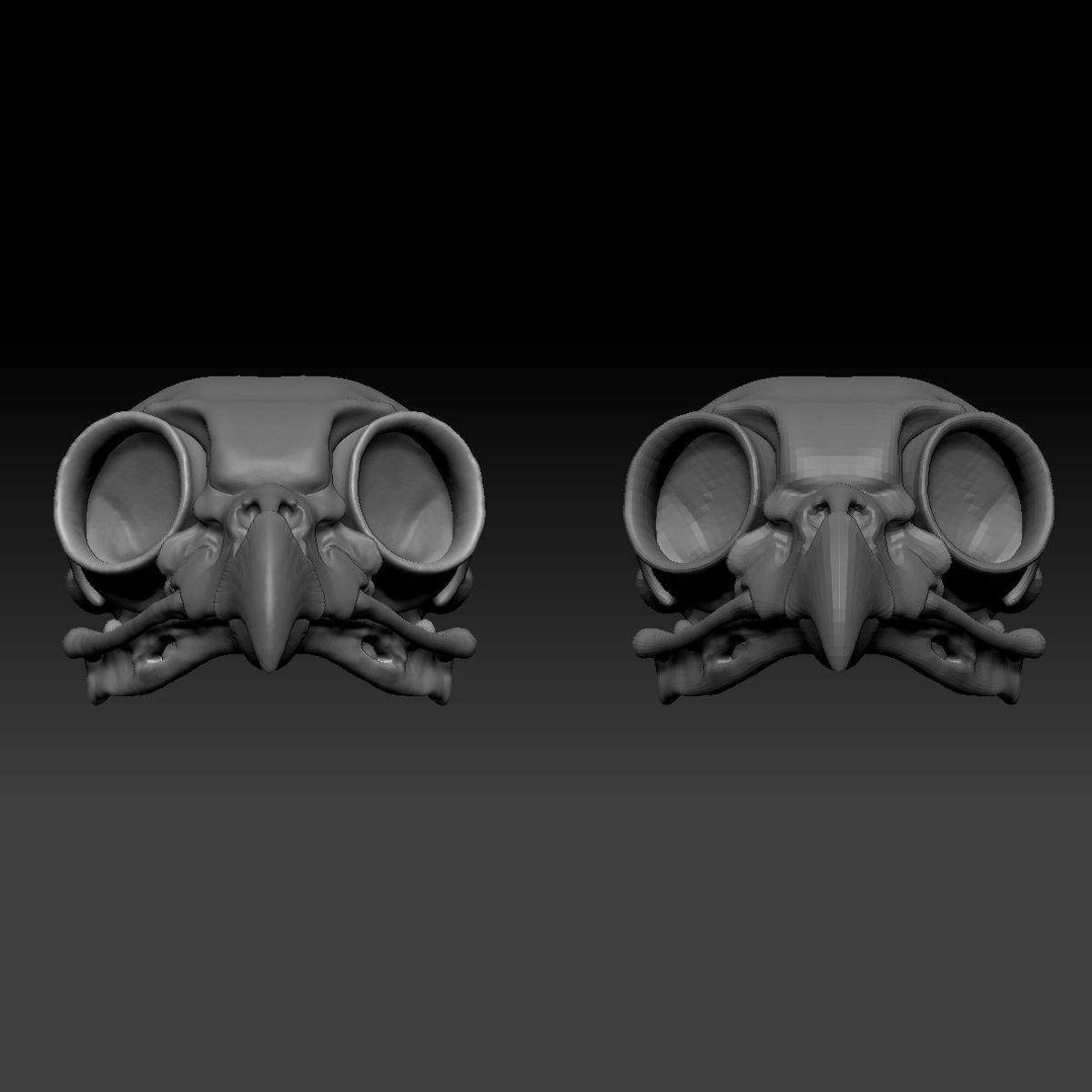 Owl Skull - 3D Model by craft3D