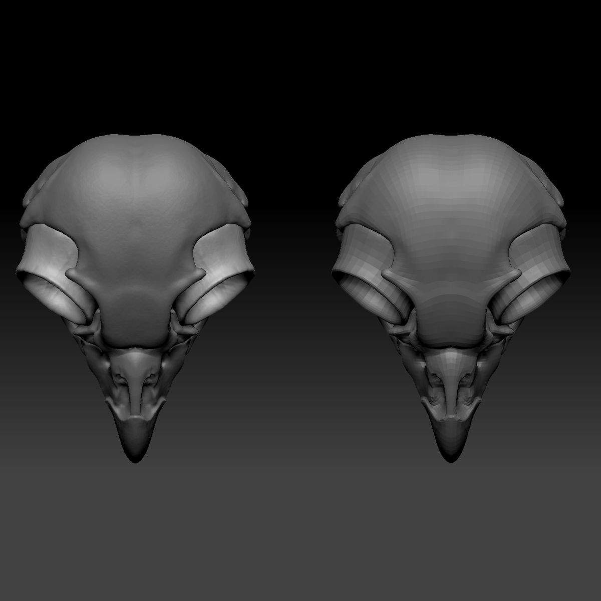 Owl Skull - 3D Model by craft3D