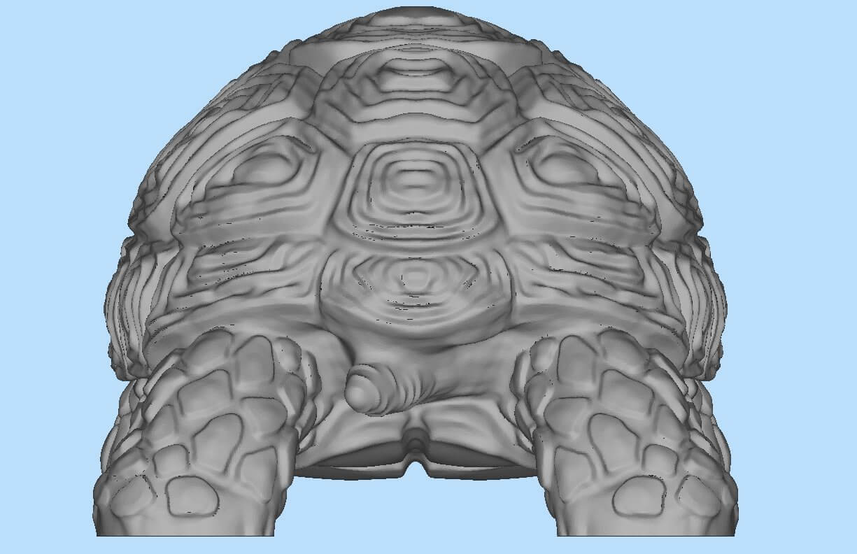 Tortoise Figurine - 3D Model by craft3D