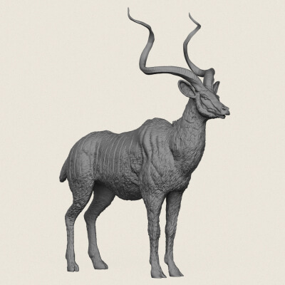 Kudu Antelope Deer Animal - 3D Model by creativegameshop