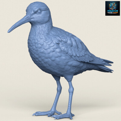 Sandpiper Bird - 3D Model by creativegameshop