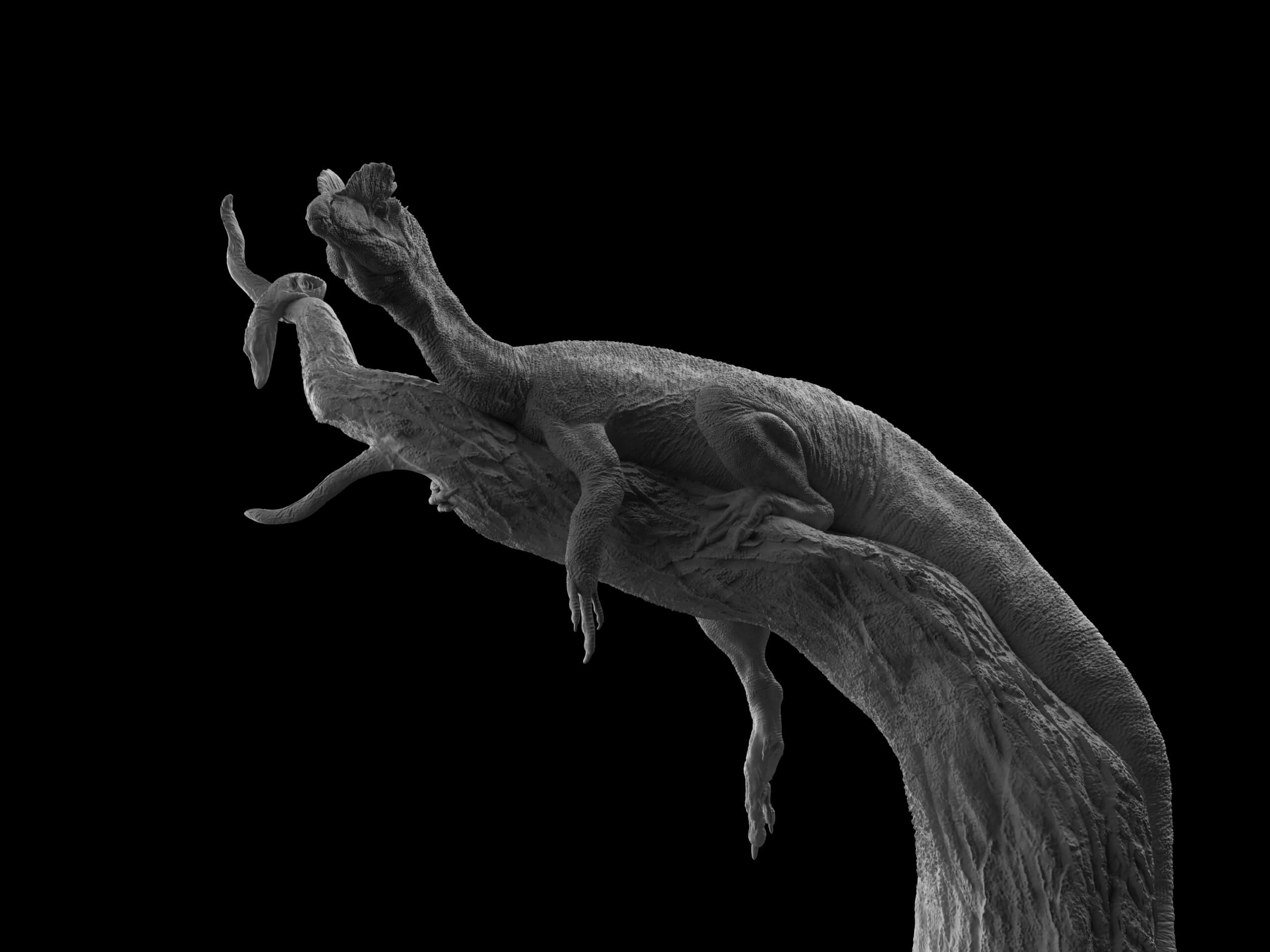 Dilophosaurus Wetherilli - 3D Print Model by creaturesculpstudio