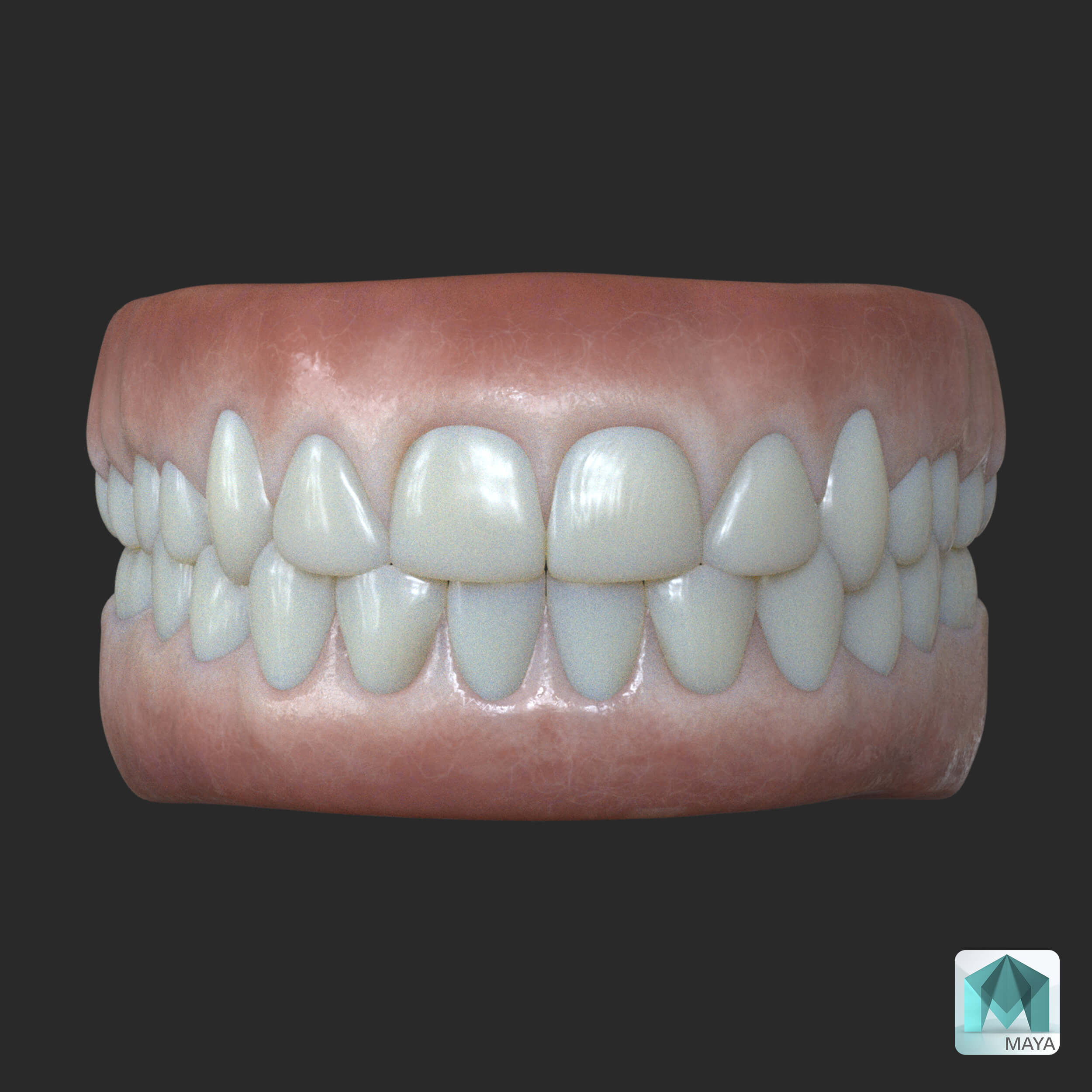 Teeth and Gums Bundle by criismora