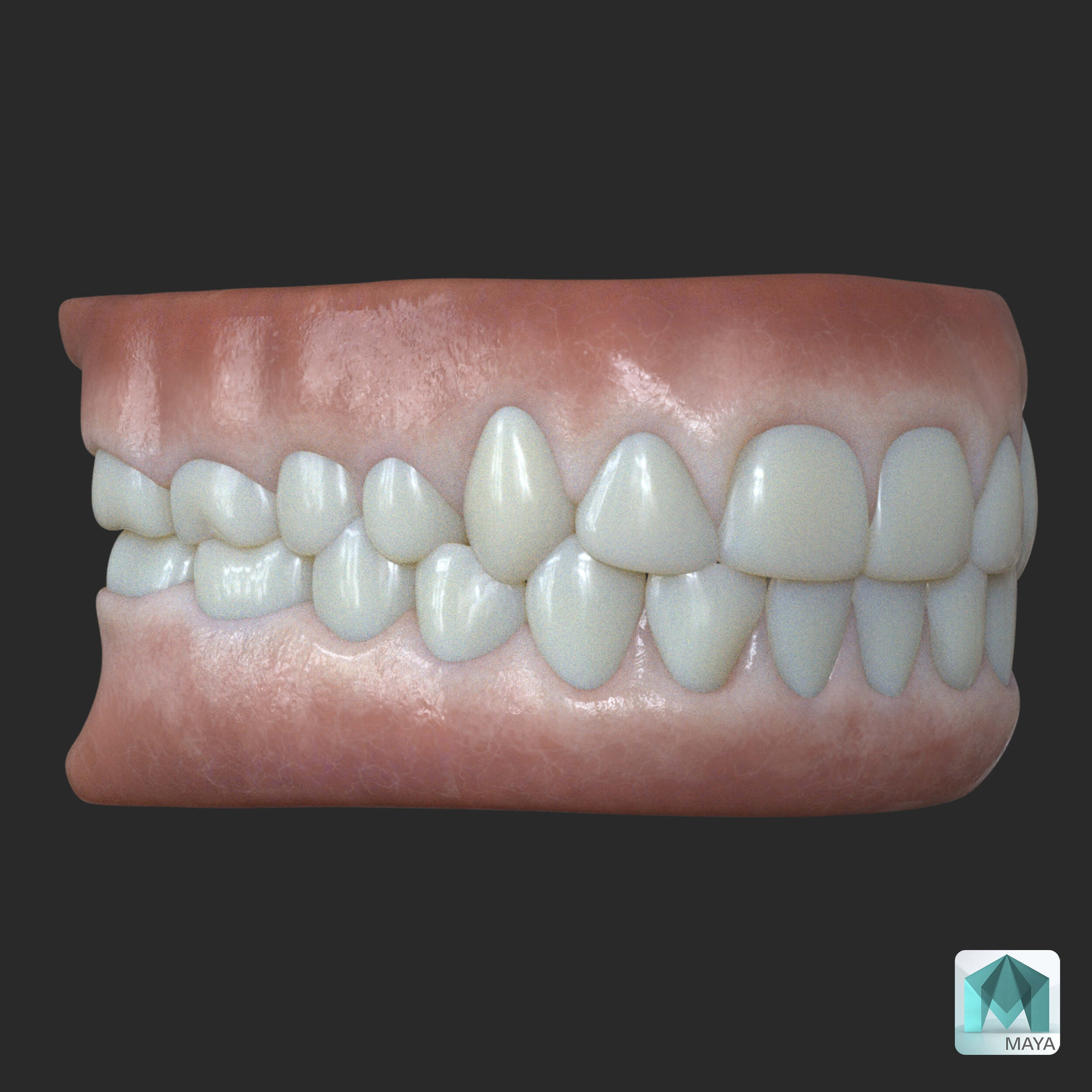 Teeth and Gums Bundle by criismora