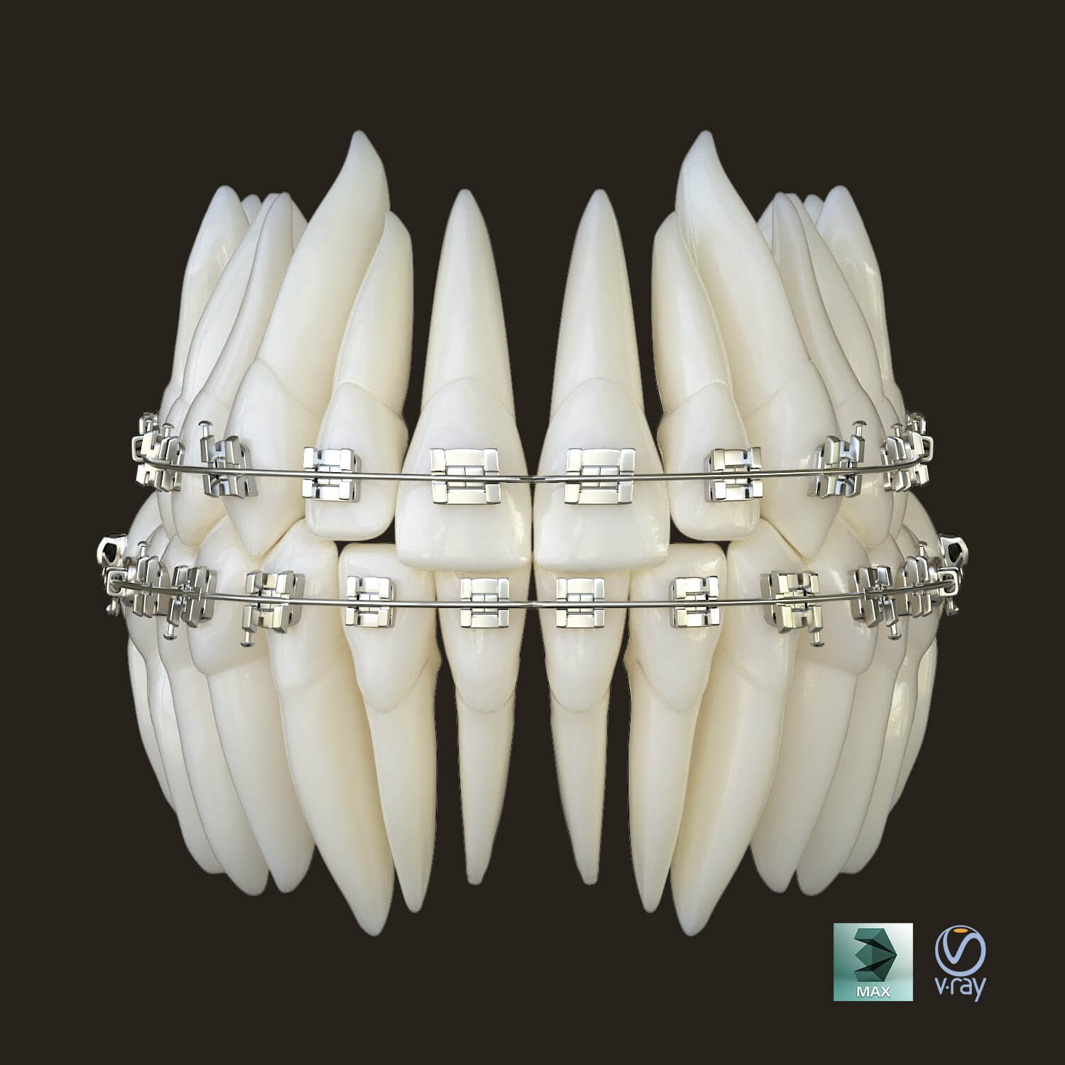 Teeth 3D Model by criismora