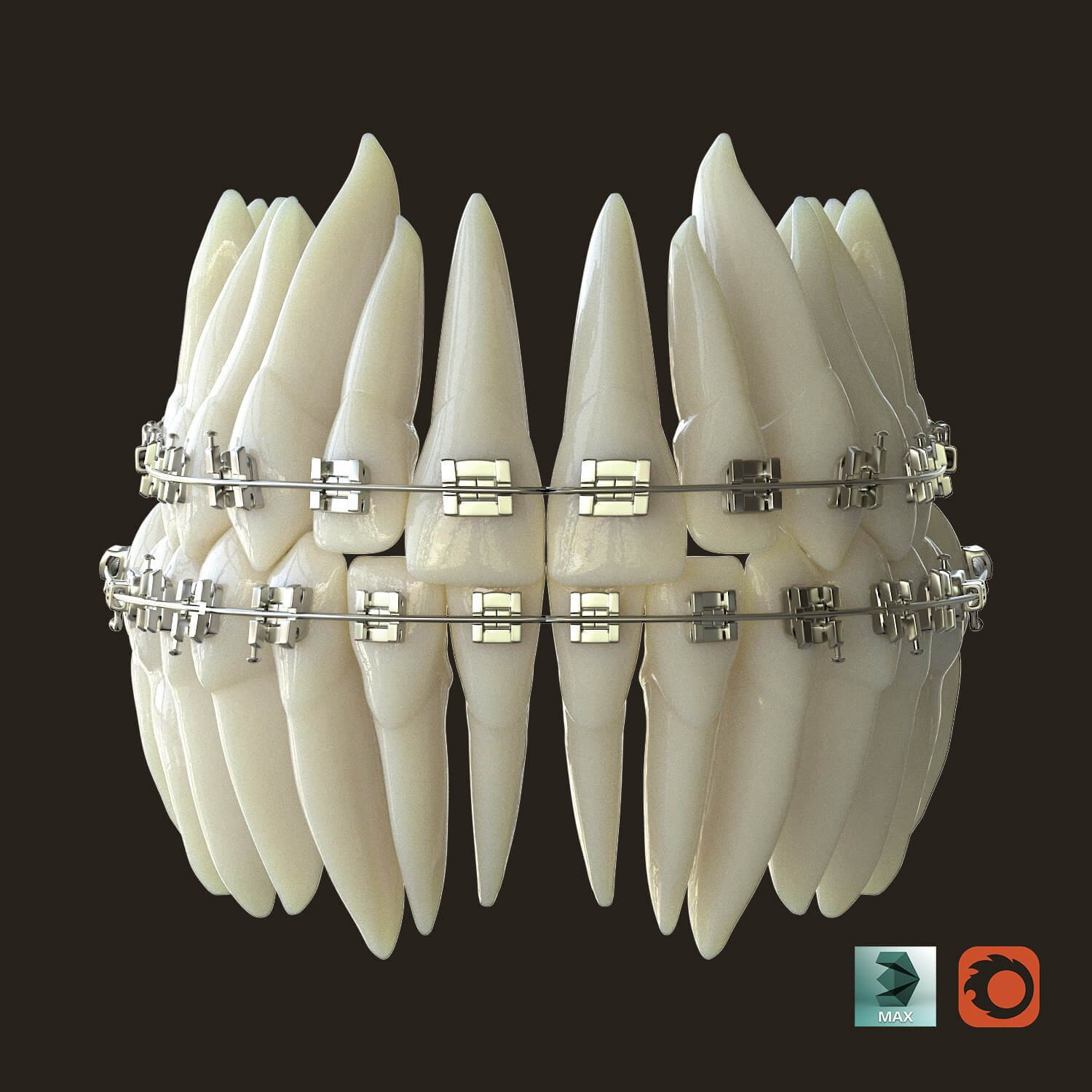 Teeth 3D Model by criismora