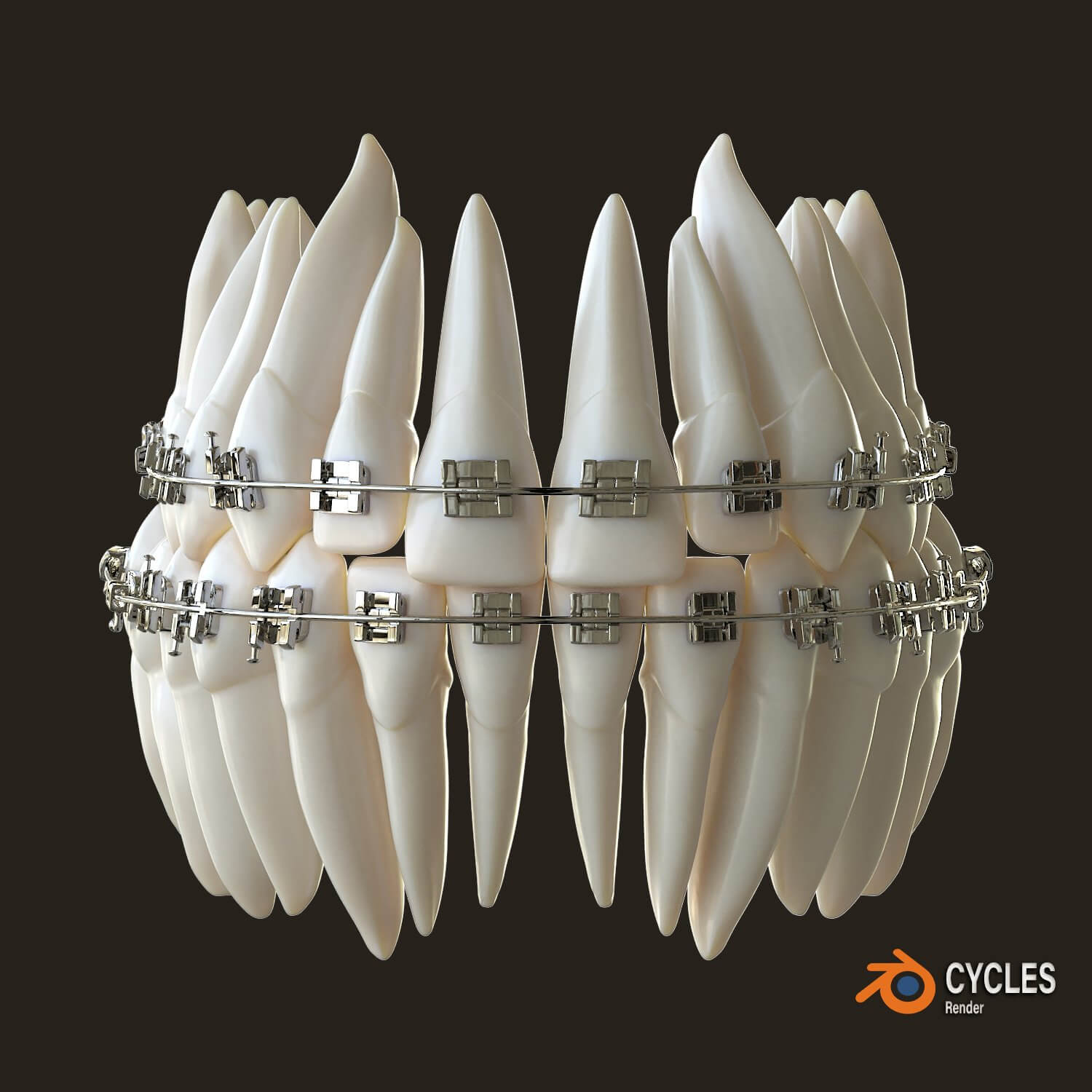Teeth 3D Model by criismora