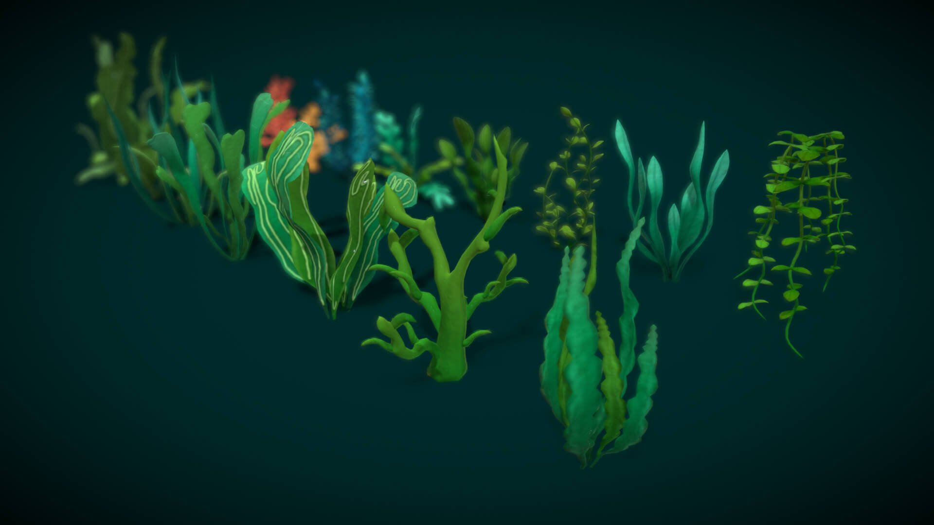 Cartoon Seaweed 10 - 3D Model by cuongvc