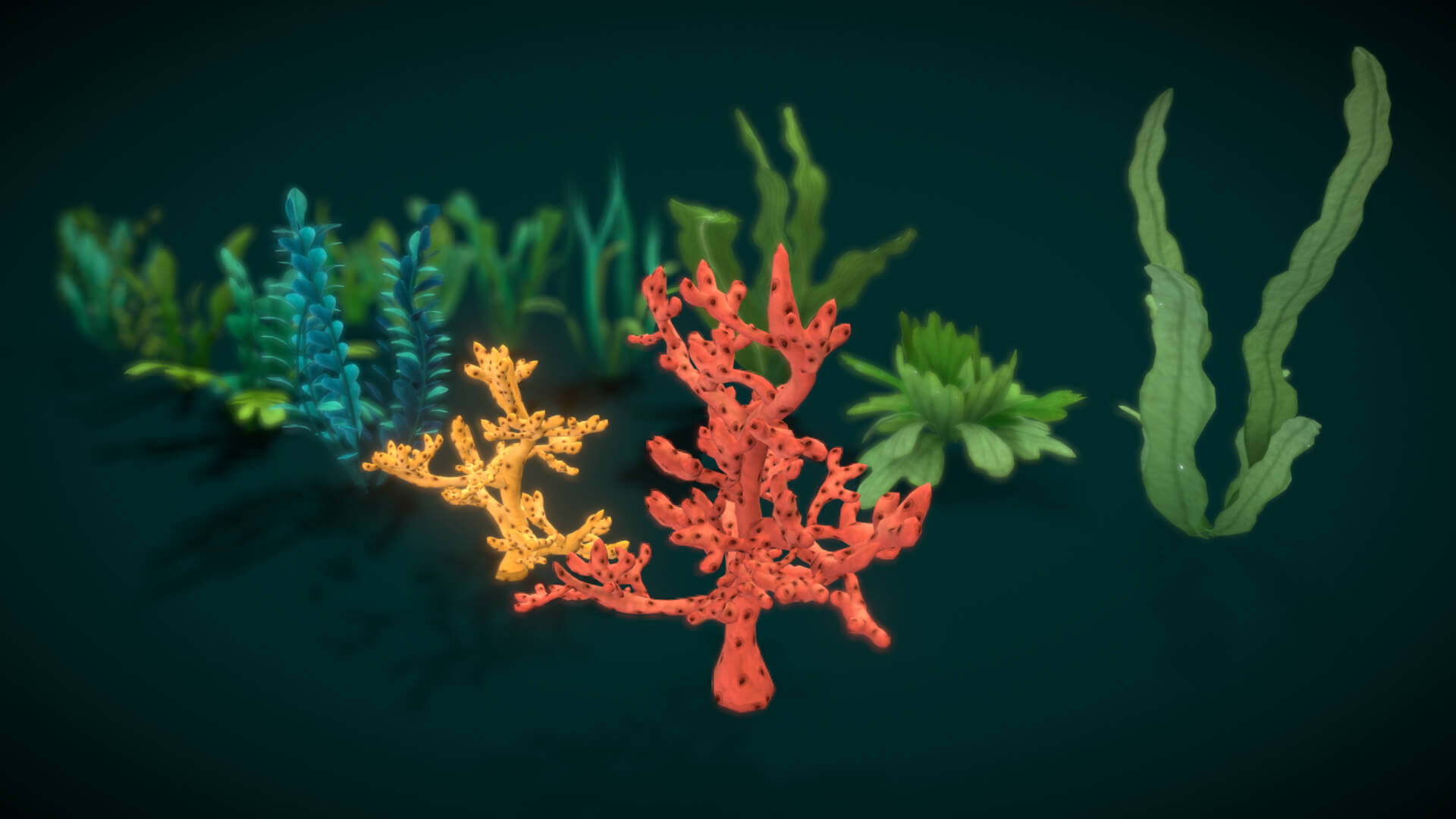 Cartoon Seaweed 10 - 3D Model by cuongvc