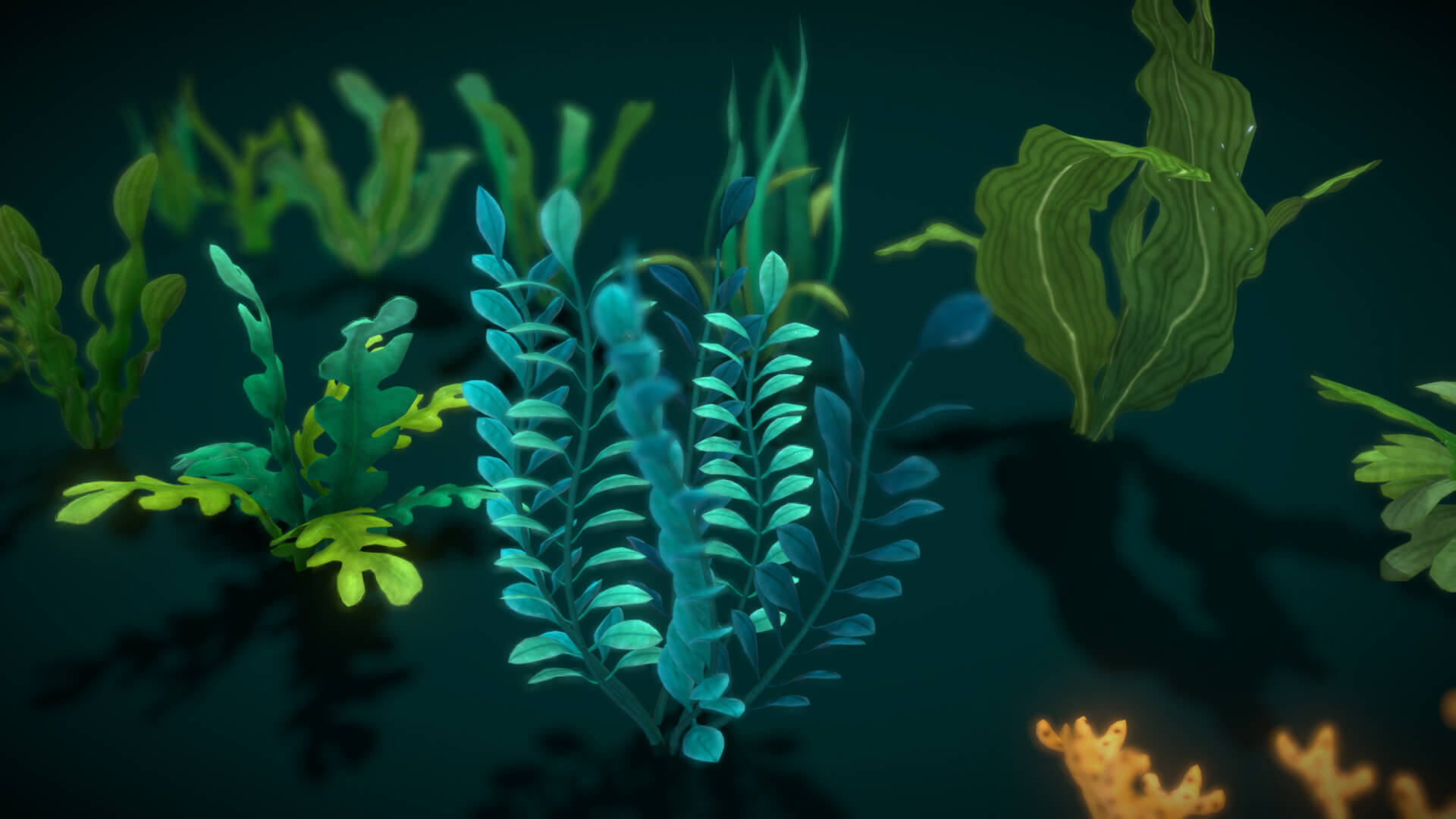 Cartoon Seaweed 10 - 3D Model by cuongvc