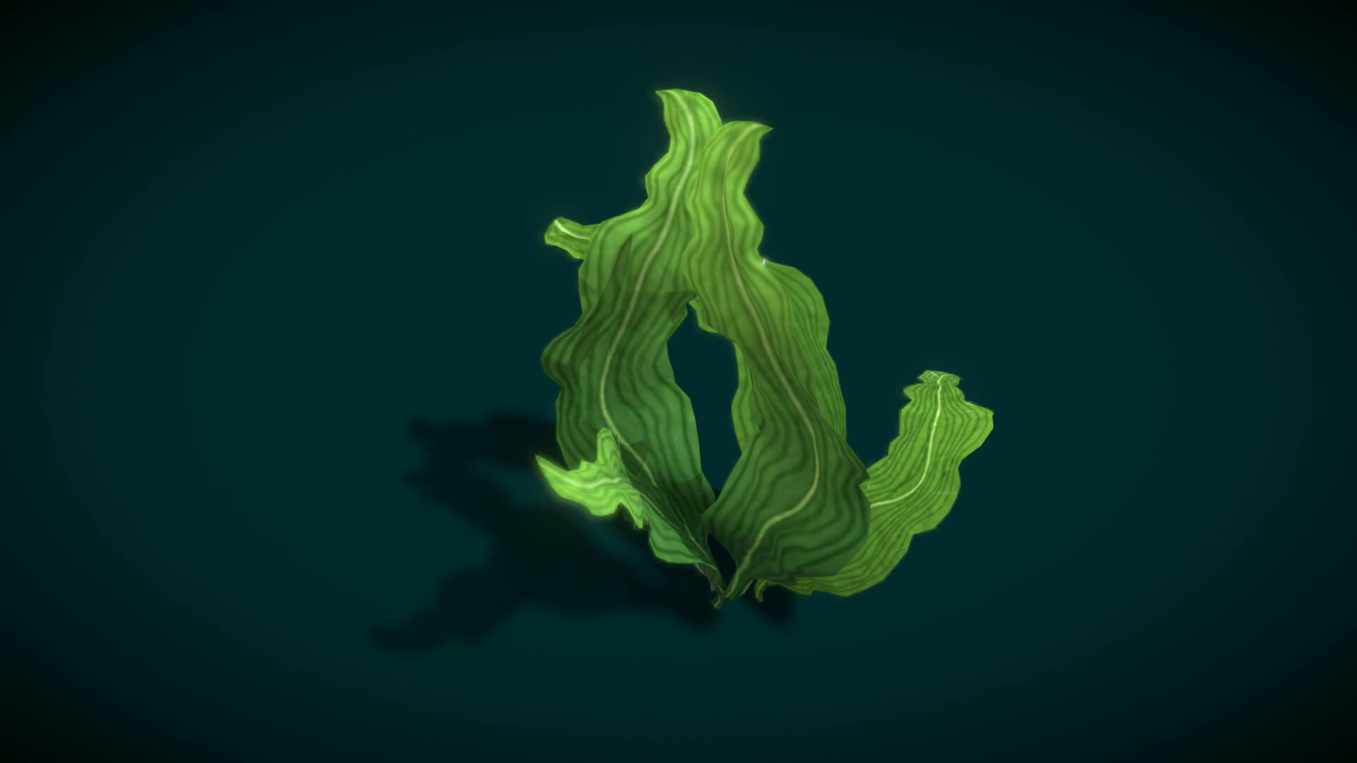 Cartoon Seaweed 10 - 3D Model by cuongvc