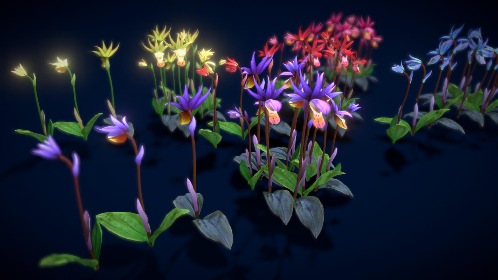 Flower Calypso Bulbosa - 3D Model by cuongvc