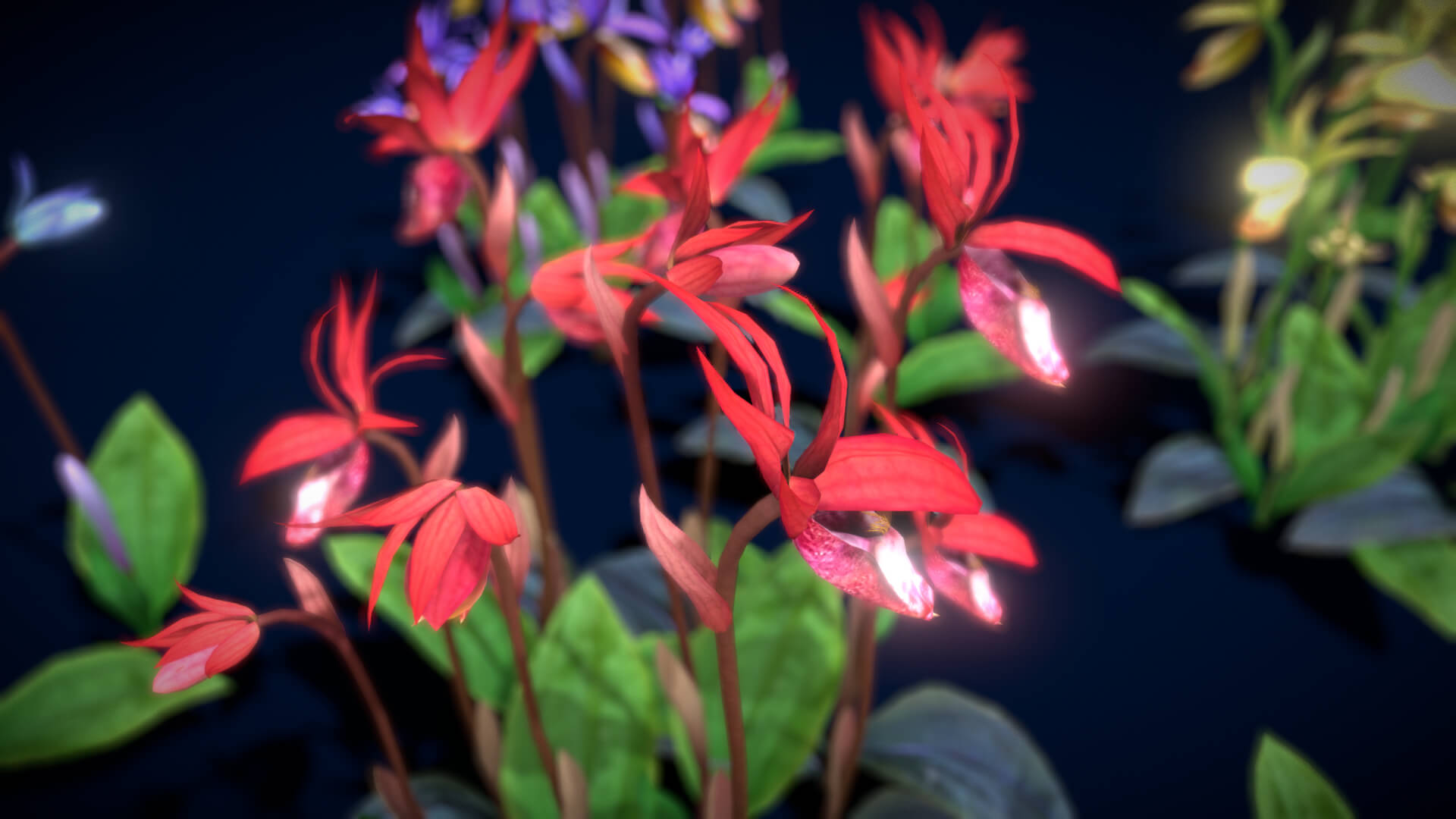 Flower Calypso Bulbosa - 3D Model by cuongvc