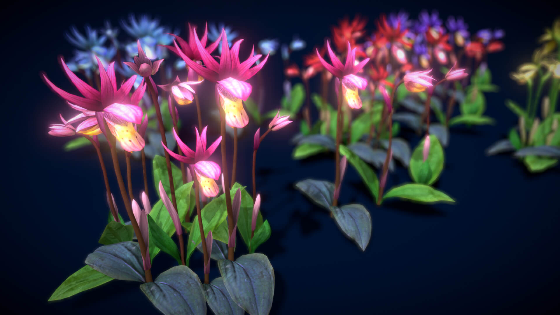 Flower Calypso Bulbosa - 3D Model by cuongvc