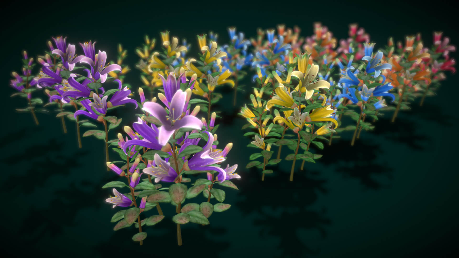 Correa Reflexa Flower - 3D Model by cuongvc