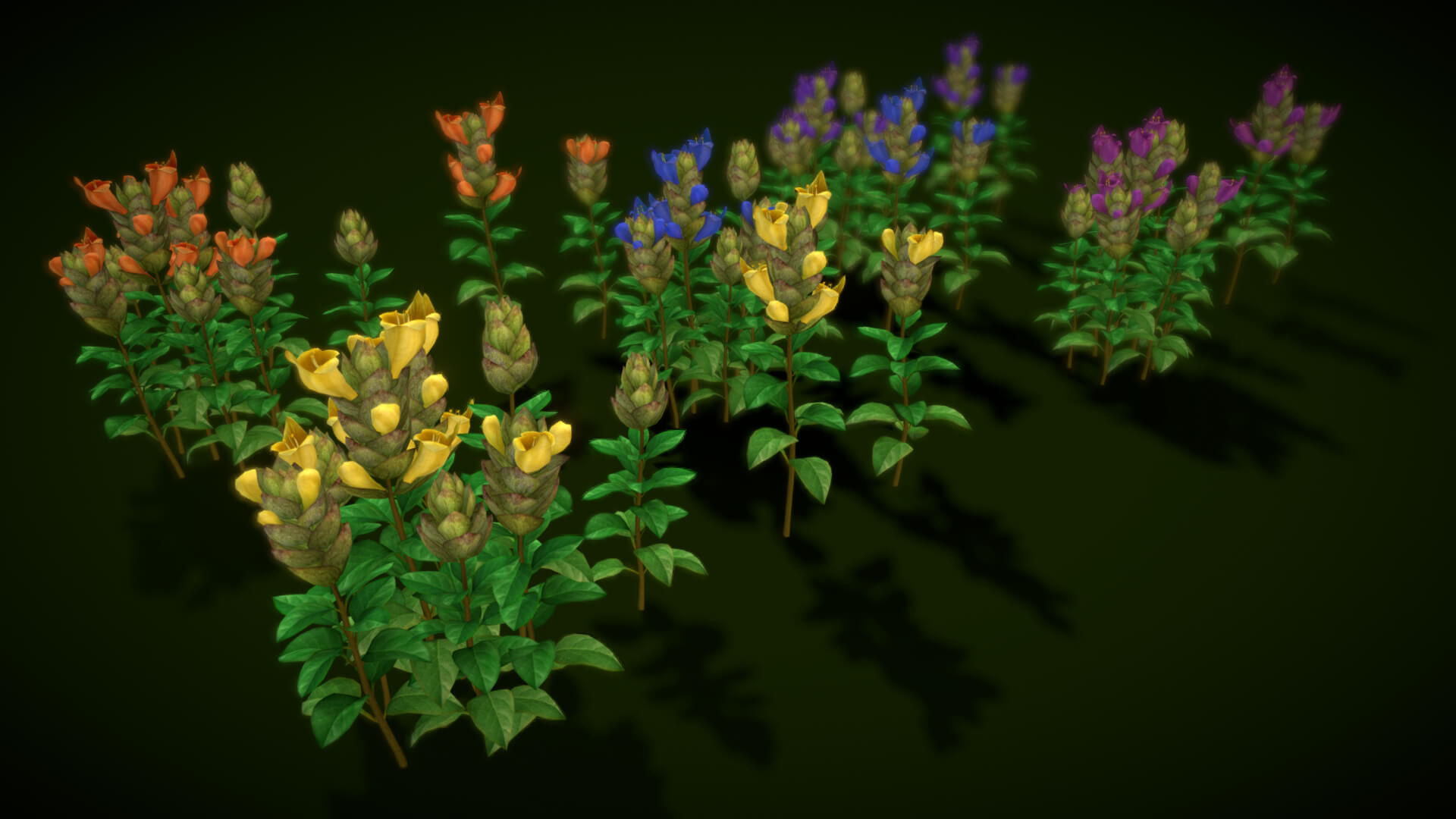 Flower Gmelina Philippensis Cham - 3D Model by cuongvc