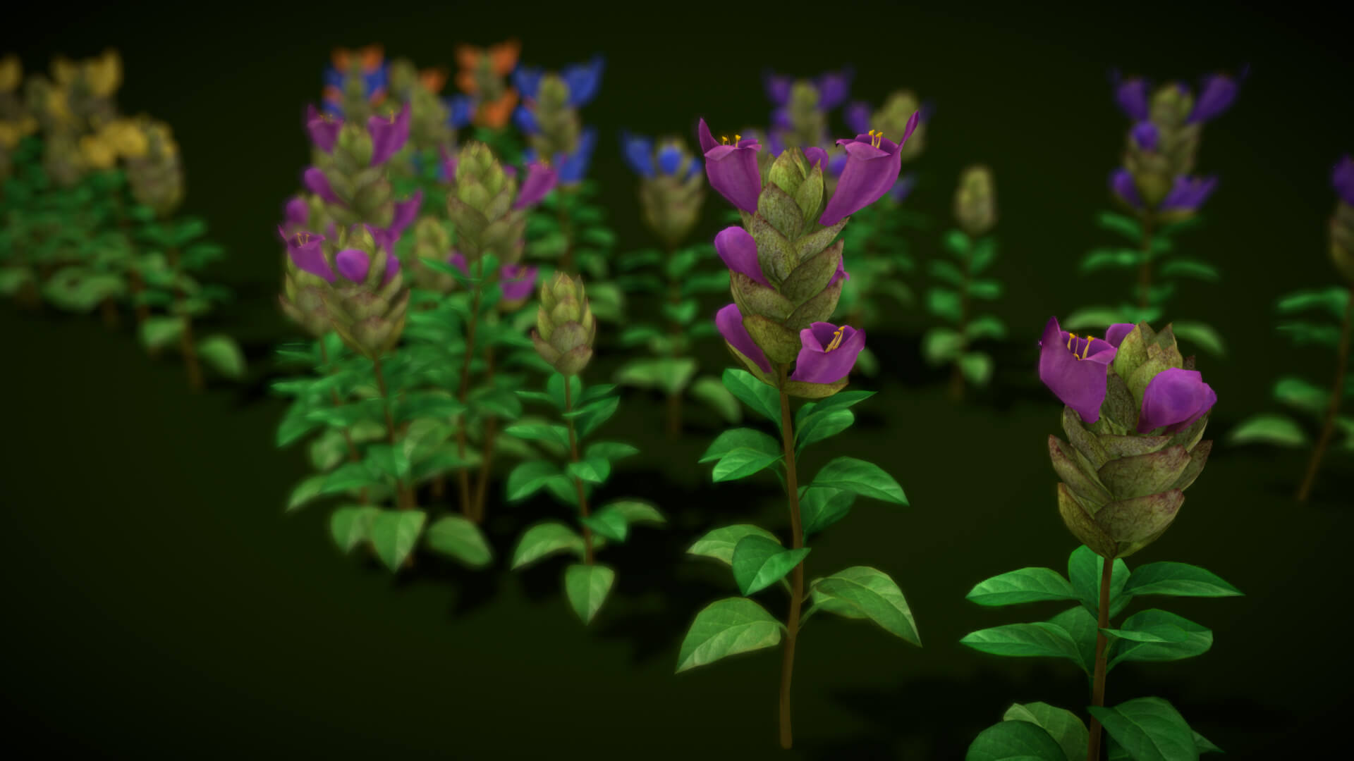 Flower Gmelina Philippensis Cham - 3D Model by cuongvc