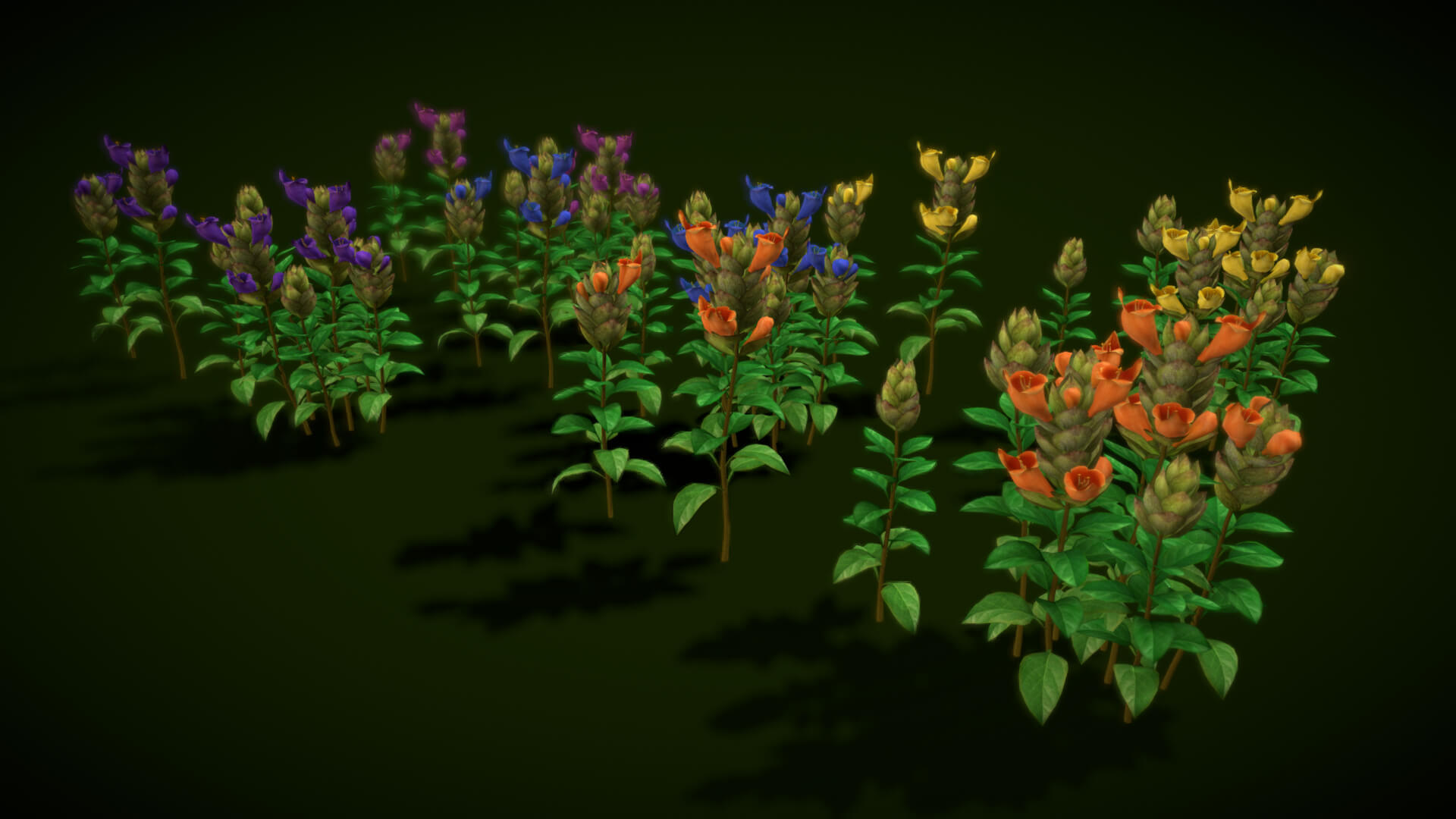 Flower Gmelina Philippensis Cham - 3D Model by cuongvc