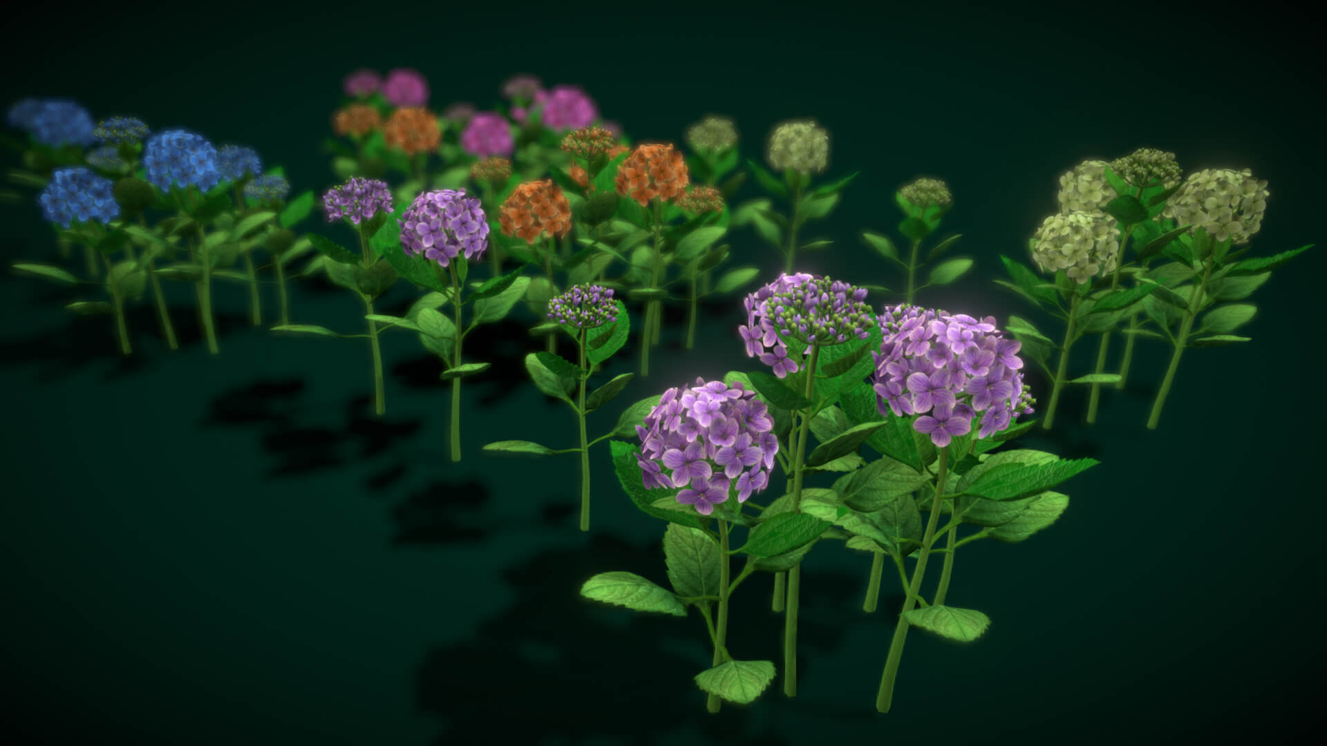 Flower Hydrange - 3D Model by cuongvc