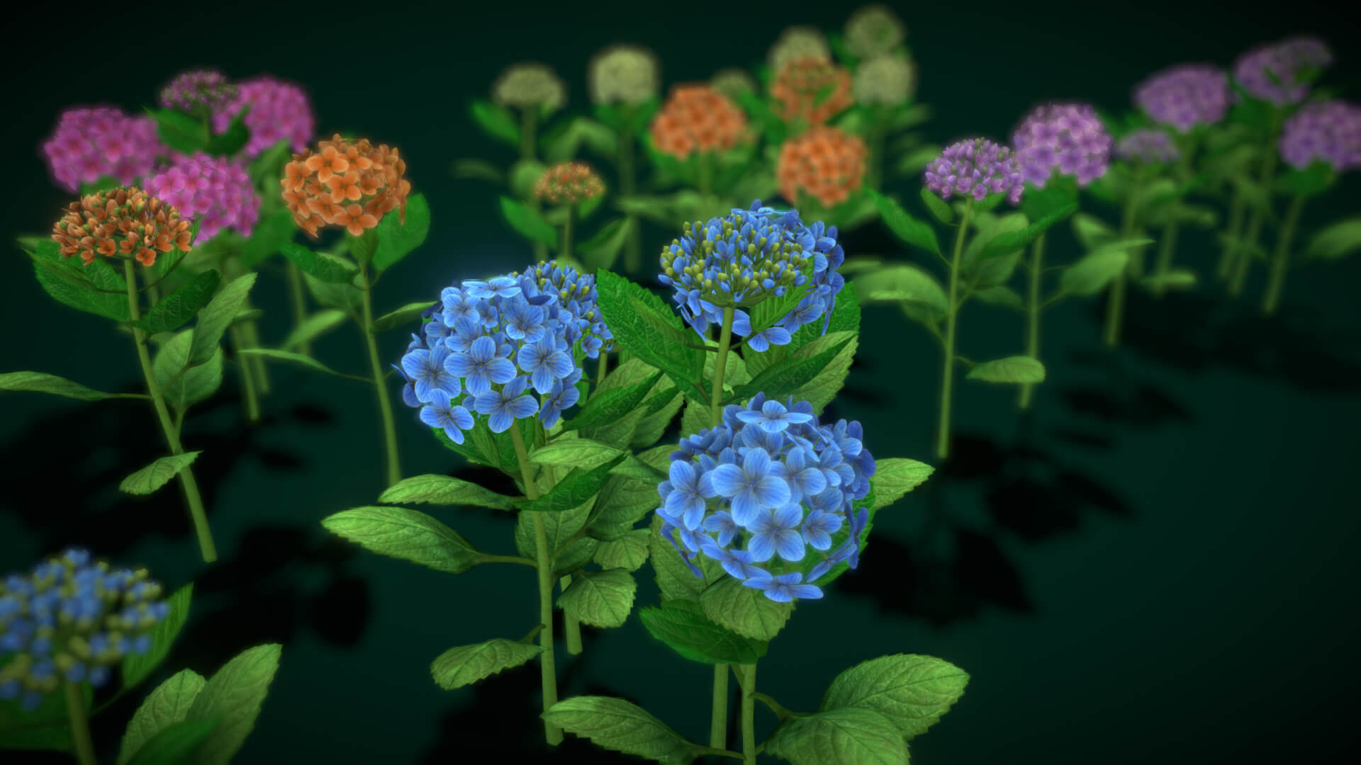 Flower Hydrange - 3D Model by cuongvc