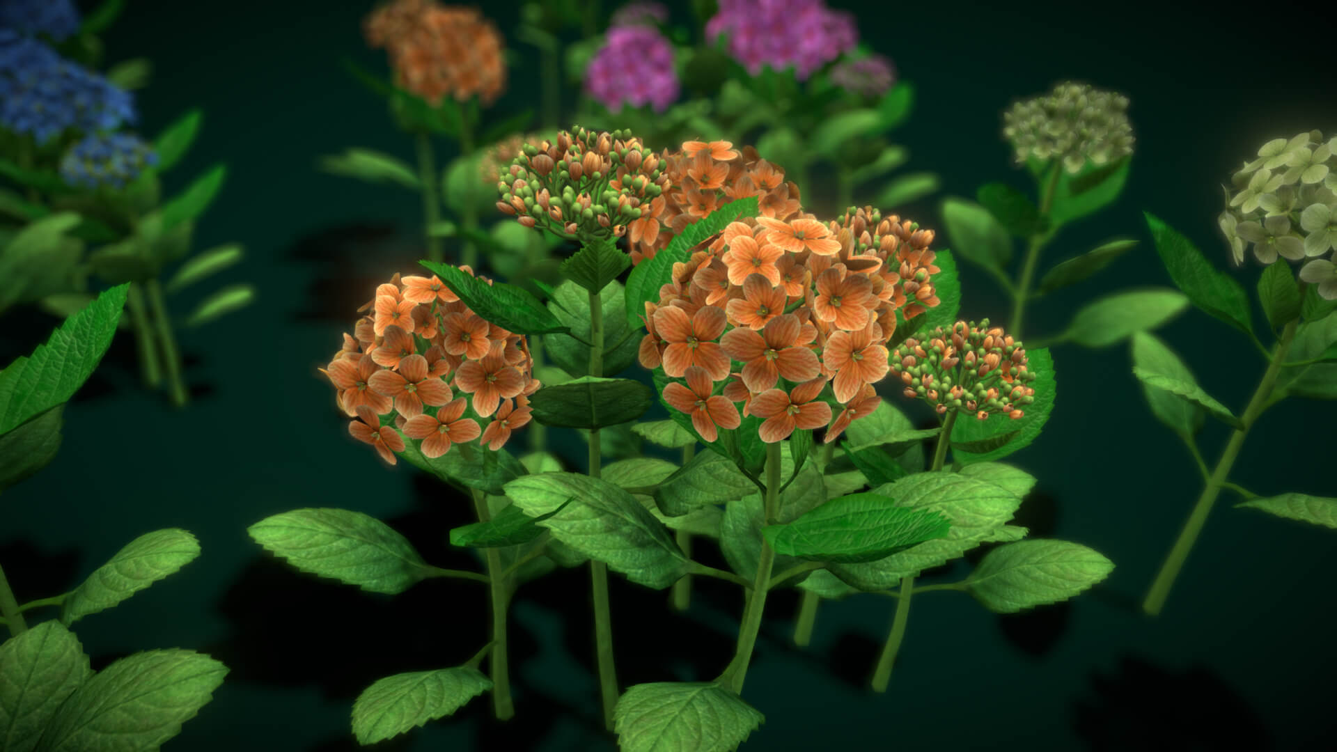Flower Hydrange - 3D Model by cuongvc