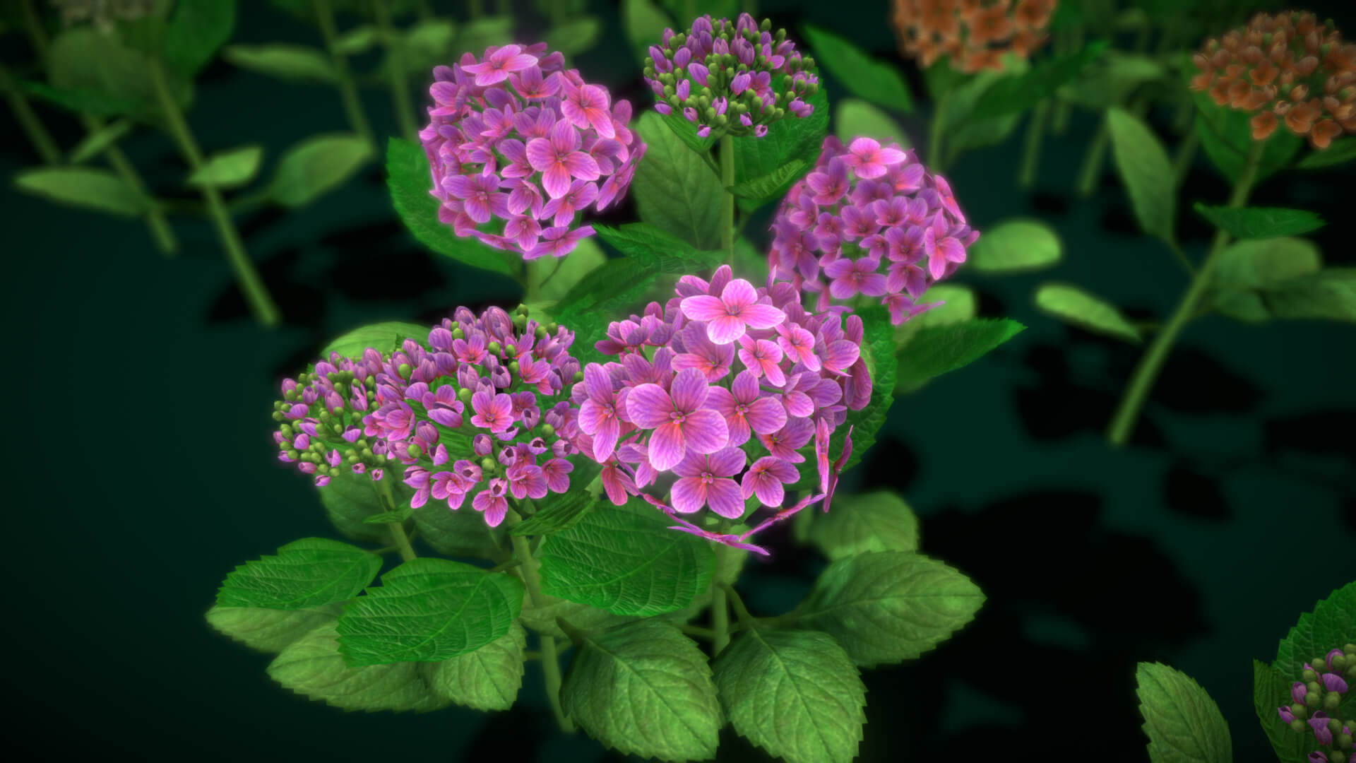 Flower Hydrange - 3D Model by cuongvc