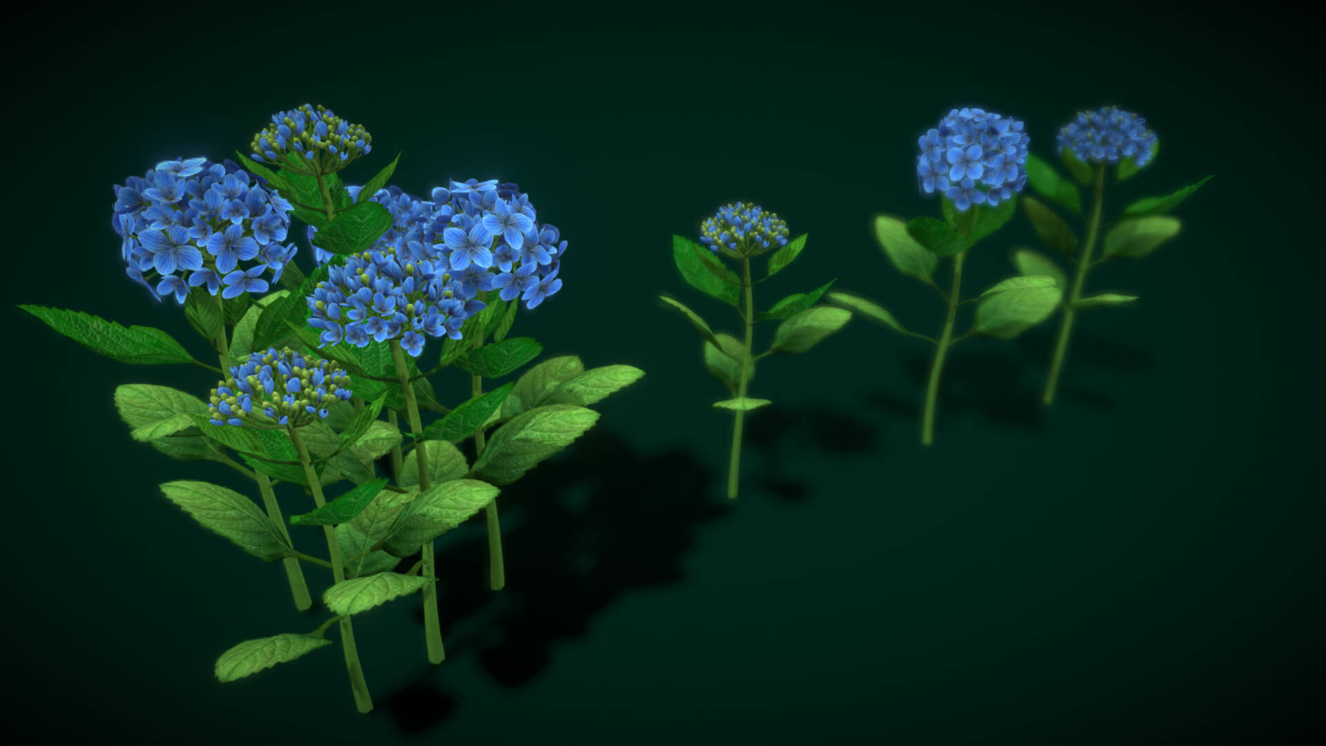Flower Hydrange - 3D Model by cuongvc