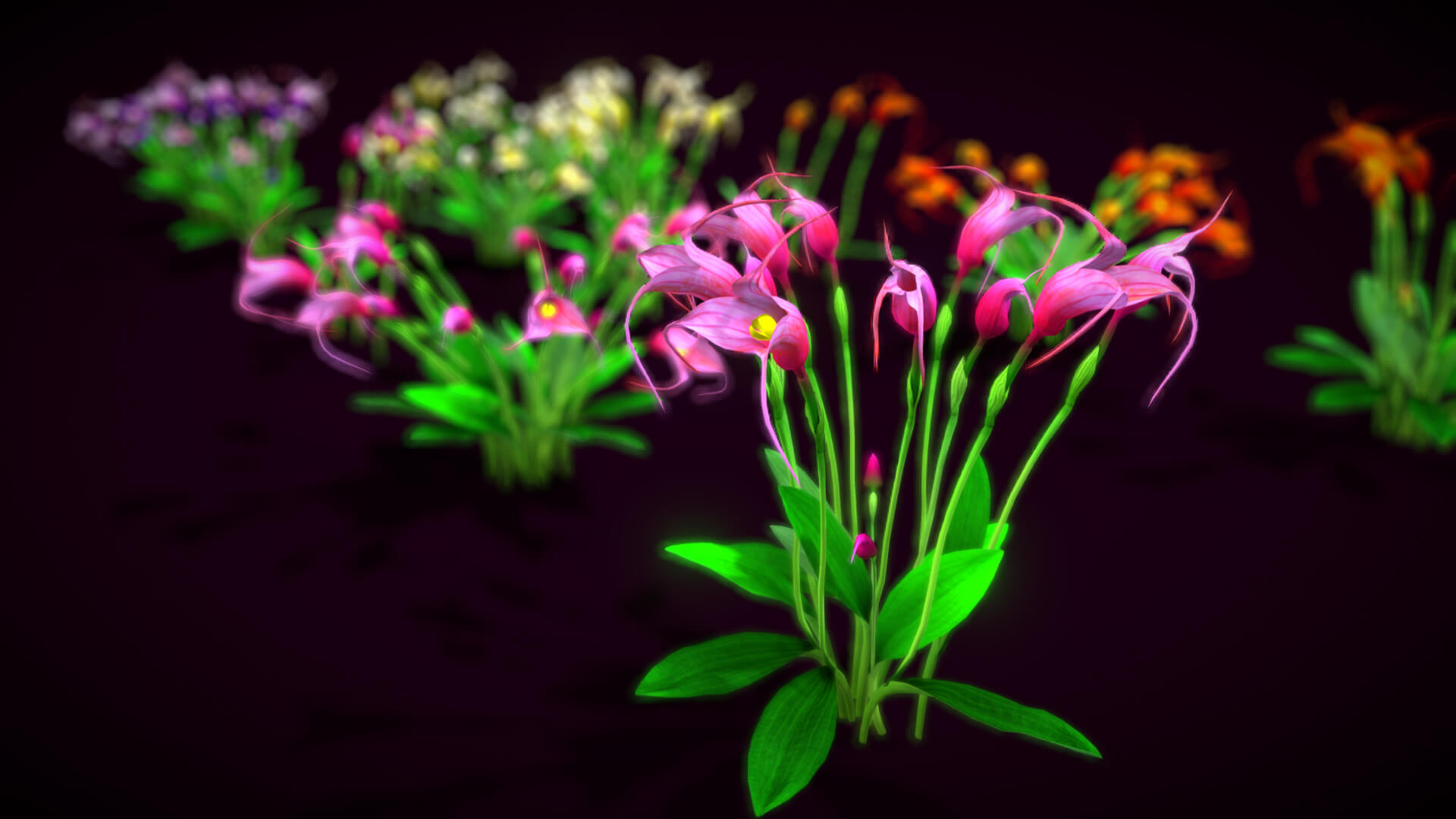 Flower Masdevallia Limax - 3D Model by cuongvc