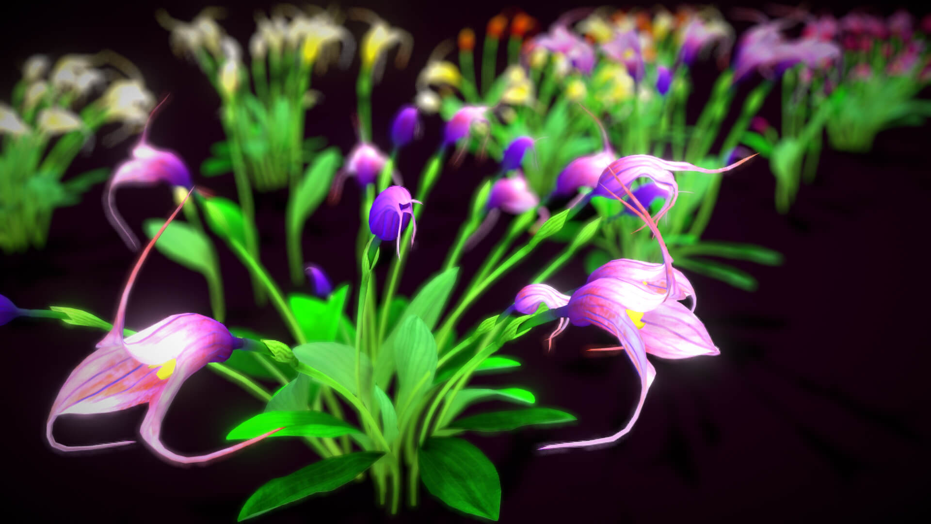 Flower Masdevallia Limax - 3D Model by cuongvc