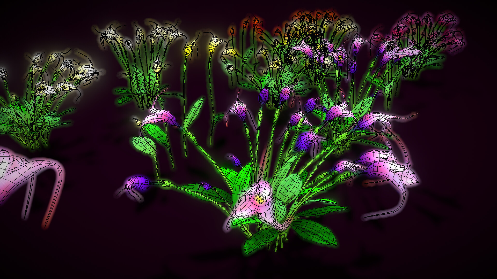 Flower Masdevallia Limax - 3D Model by cuongvc