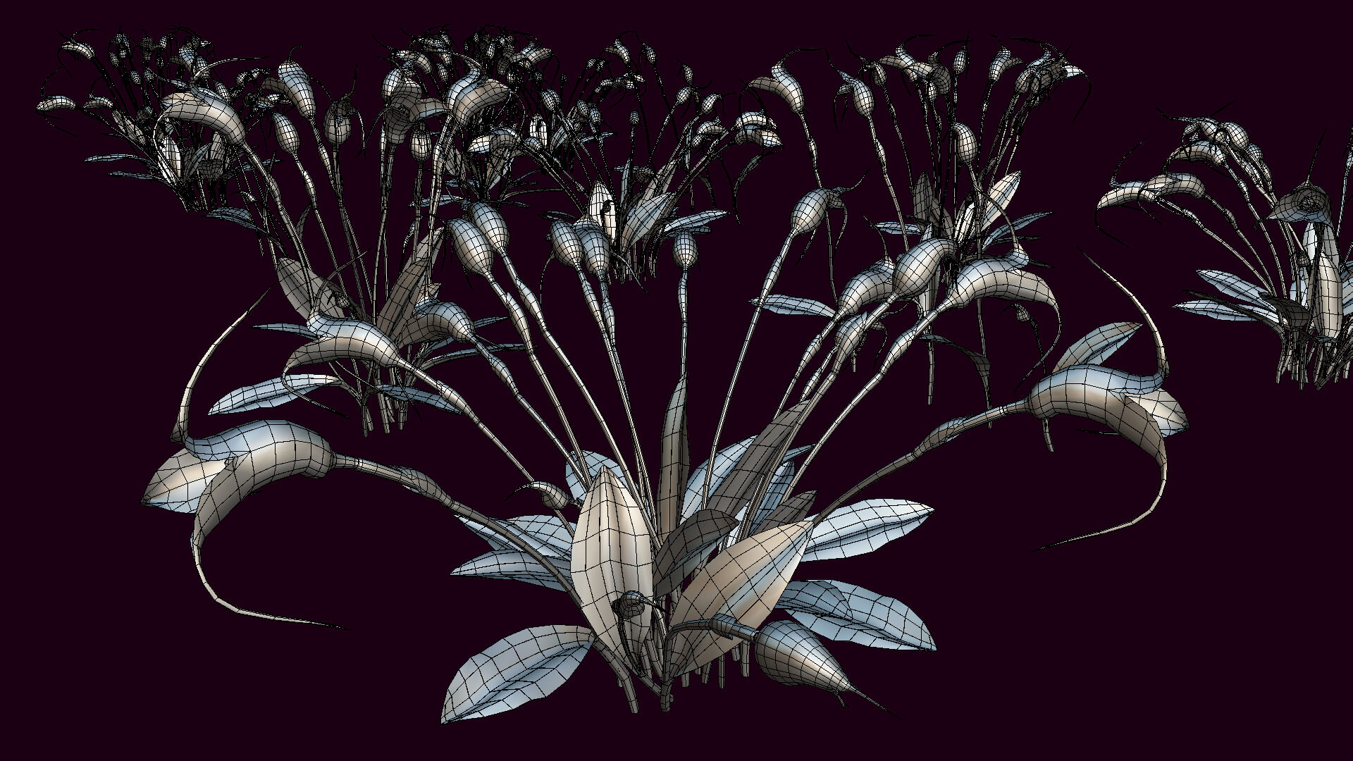 Flower Masdevallia Limax - 3D Model by cuongvc