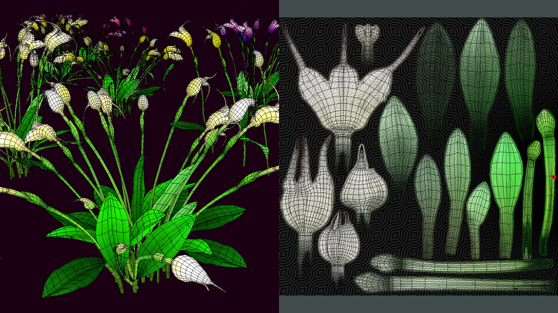 Flower Masdevallia Limax - 3D Model by cuongvc