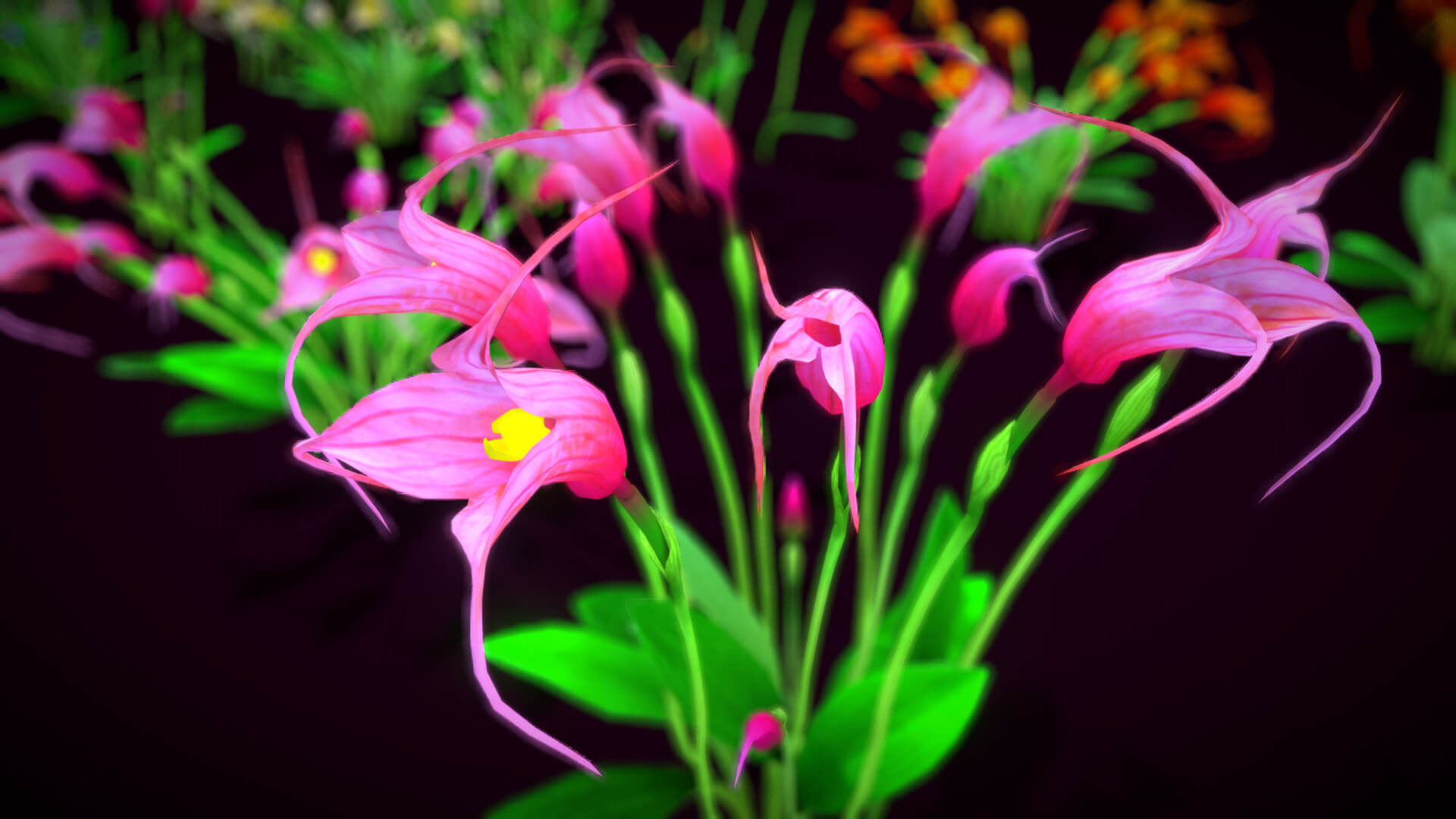 Flower Masdevallia Limax - 3D Model by cuongvc