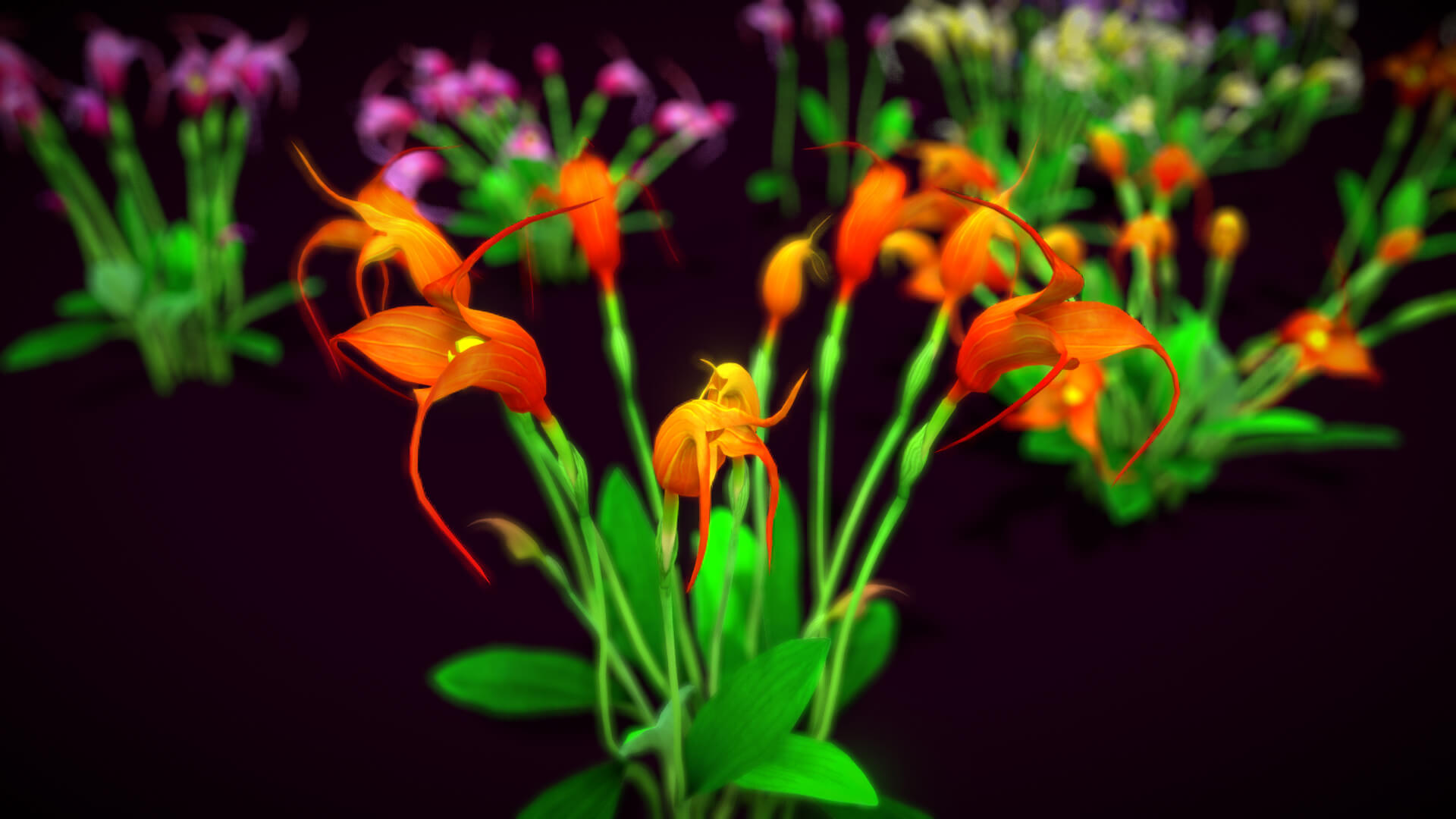 Flower Masdevallia Limax - 3D Model by cuongvc