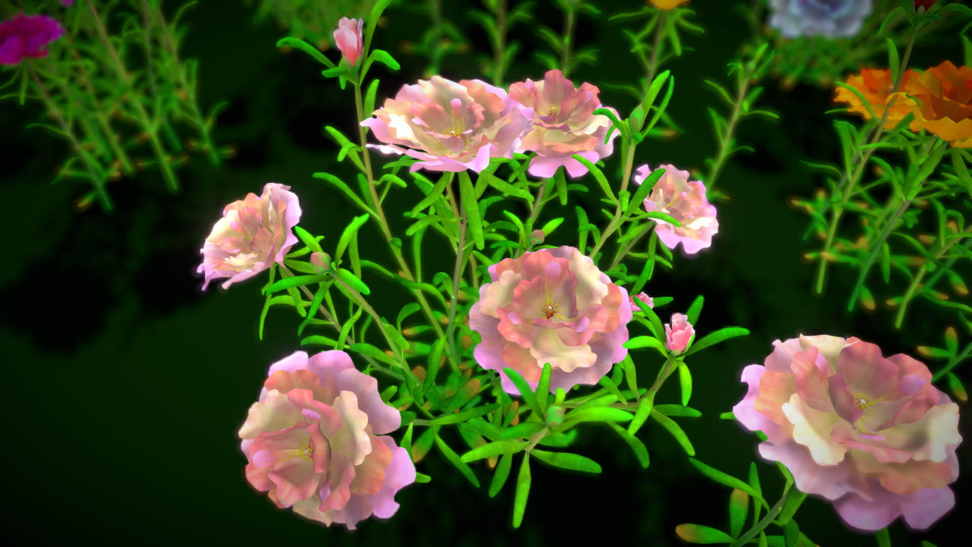 Flower Moss Rose - 3D Model by cuongvc