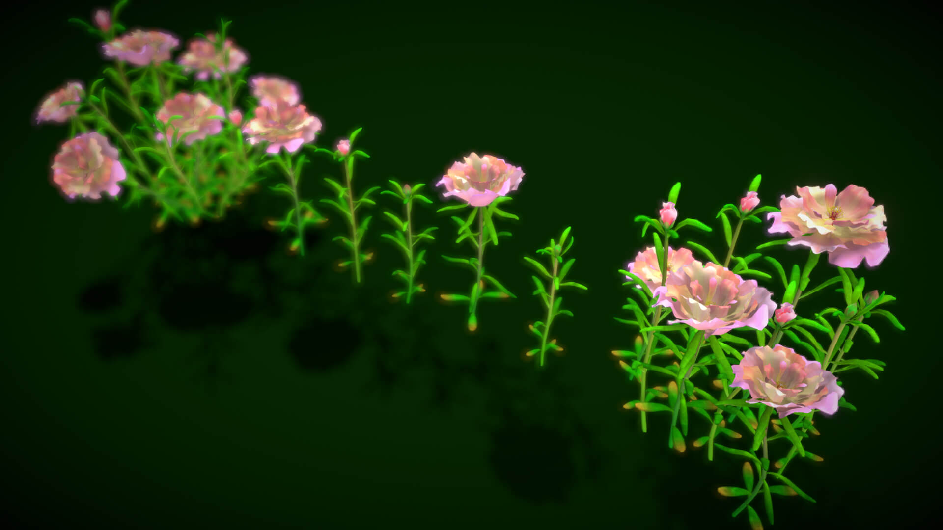 Flower Moss Rose - 3D Model by cuongvc