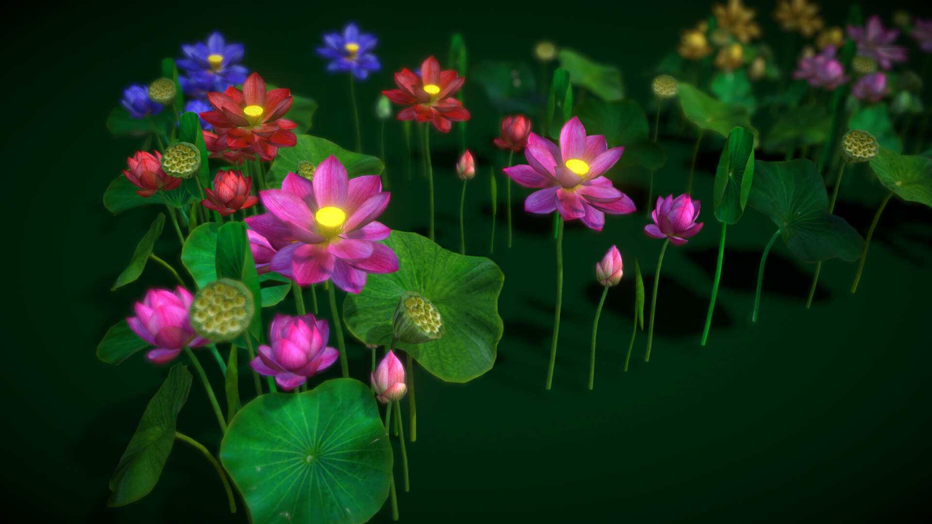 Flower Nelumbo Nucifera - 3D Model by cuongvc