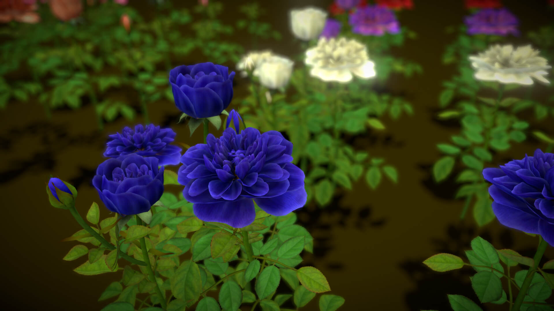 Flower Rose Juliet - 3D Model by cuongvc