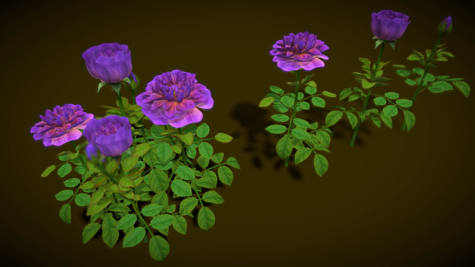 Flower Rose Juliet - 3D Model by cuongvc