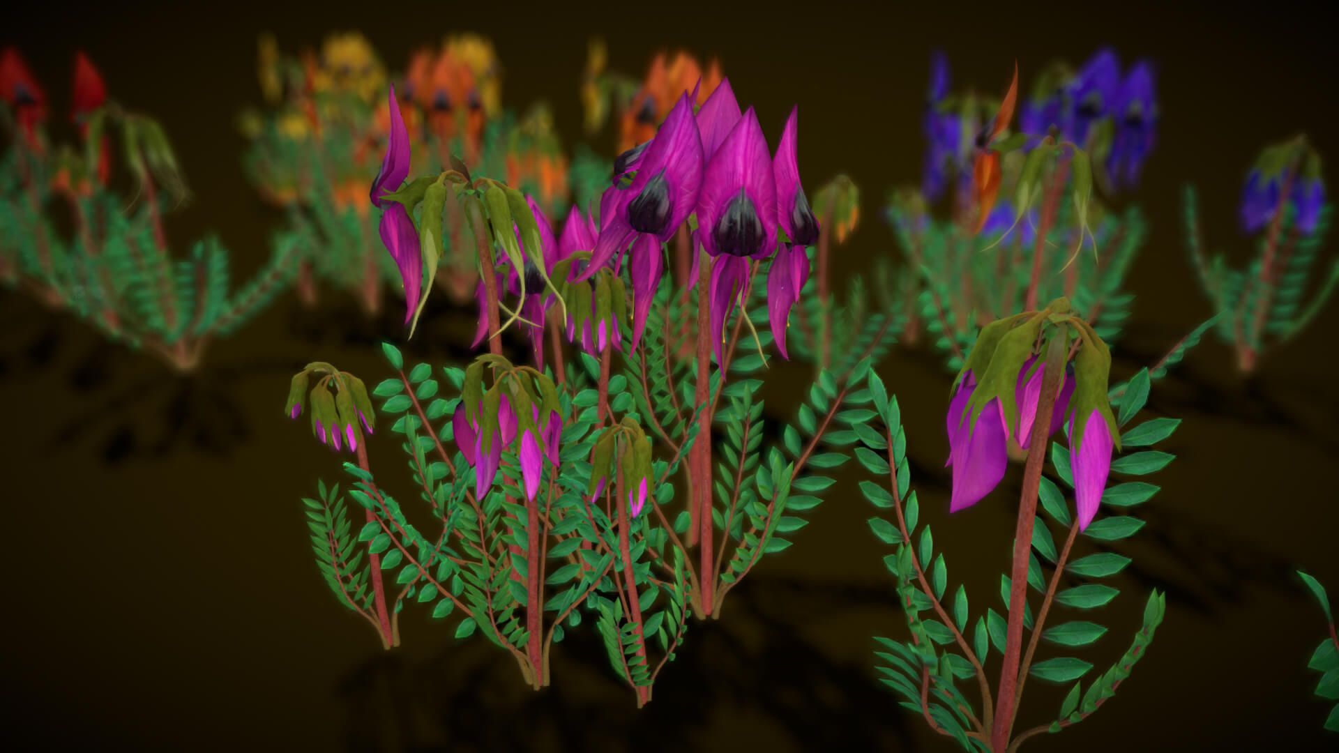 Flower Swainsona Formosa - 3D Model by cuongvc