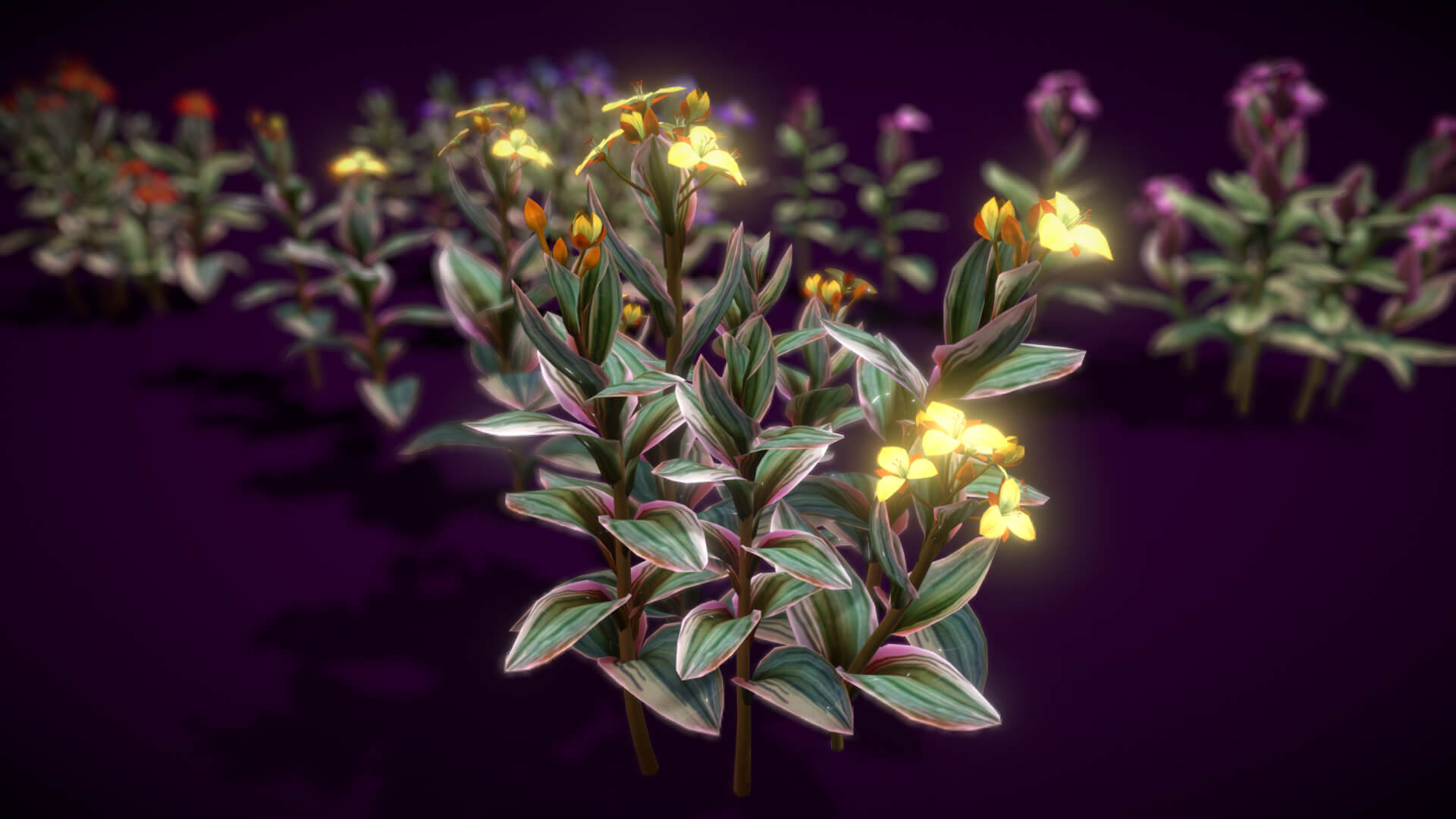 Flower Tradescantia Nanouk - 3D Model by cuongvc