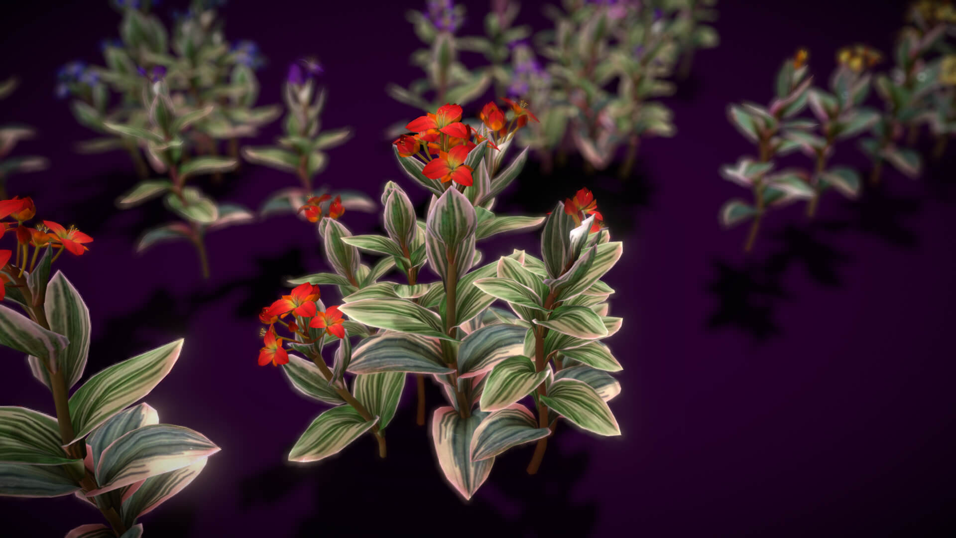 Flower Tradescantia Nanouk - 3D Model by cuongvc