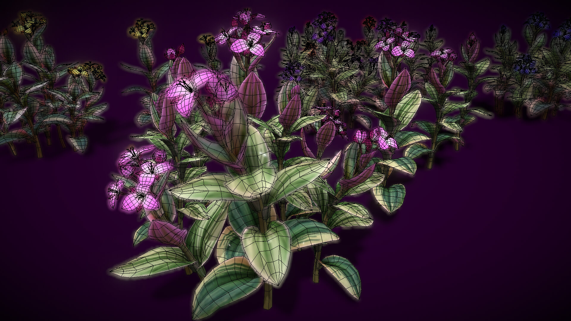 Flower Tradescantia Nanouk - 3D Model by cuongvc