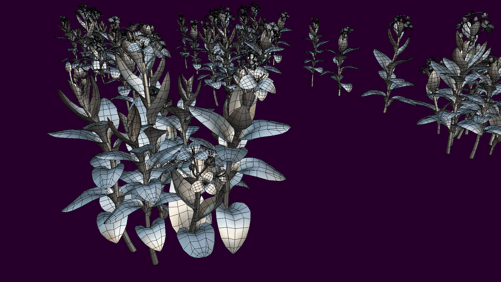 Flower Tradescantia Nanouk - 3D Model by cuongvc