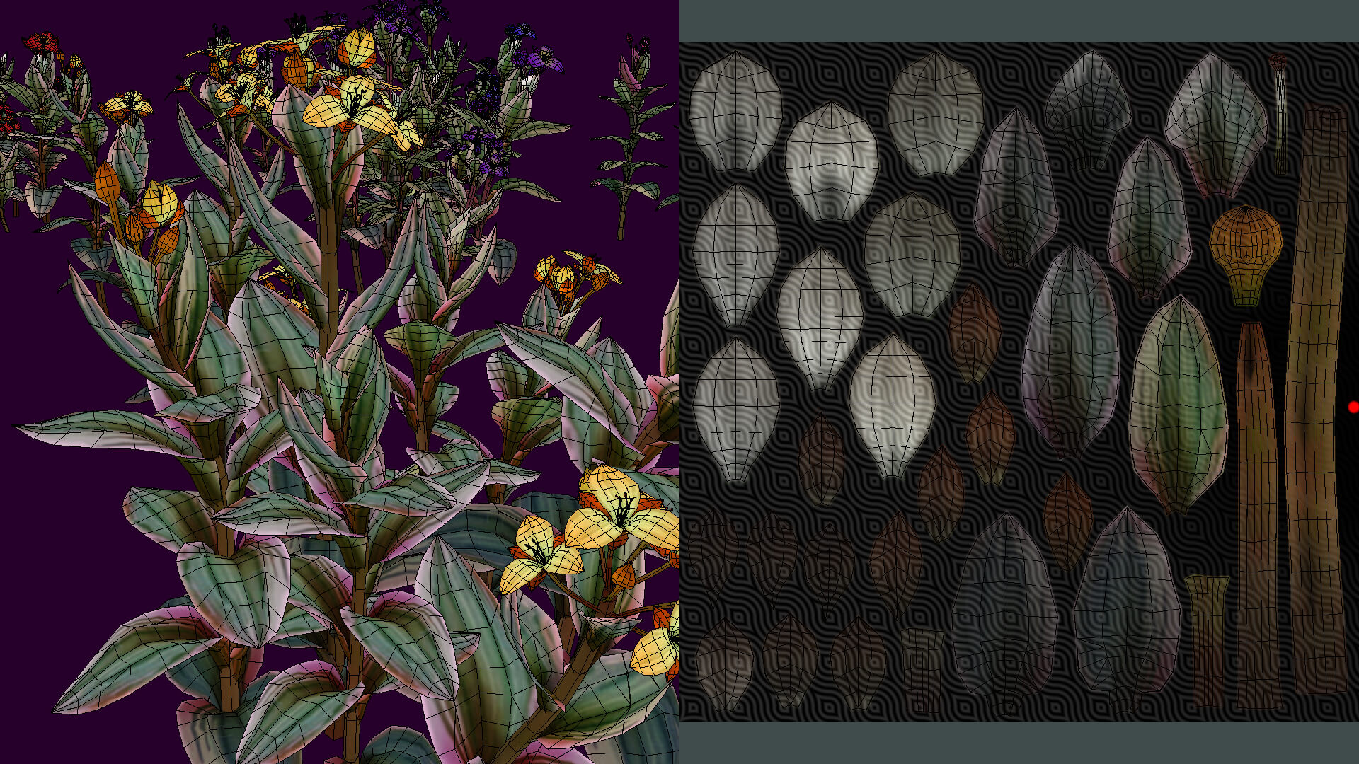 Flower Tradescantia Nanouk - 3D Model by cuongvc