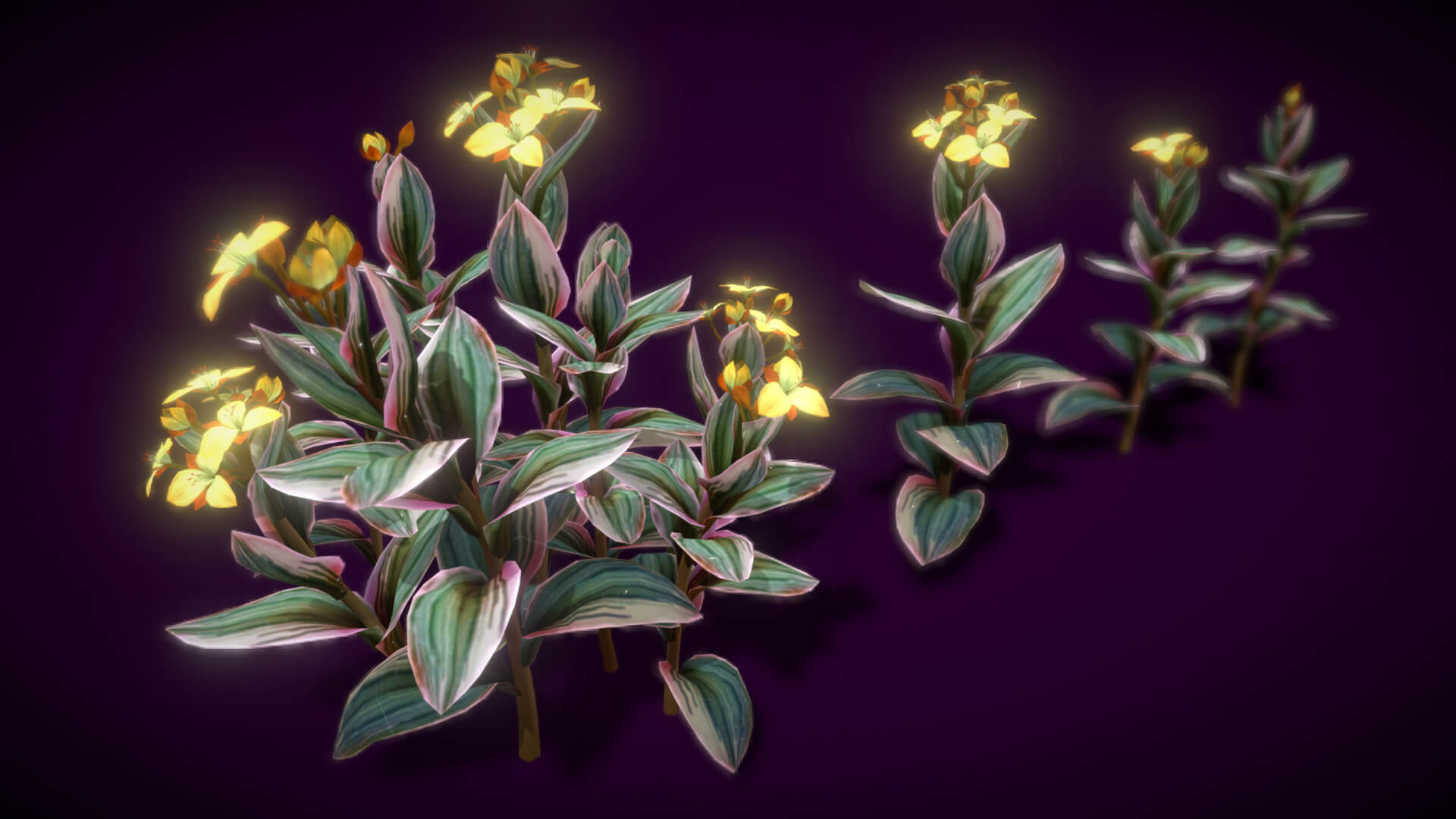 Flower Tradescantia Nanouk - 3D Model by cuongvc