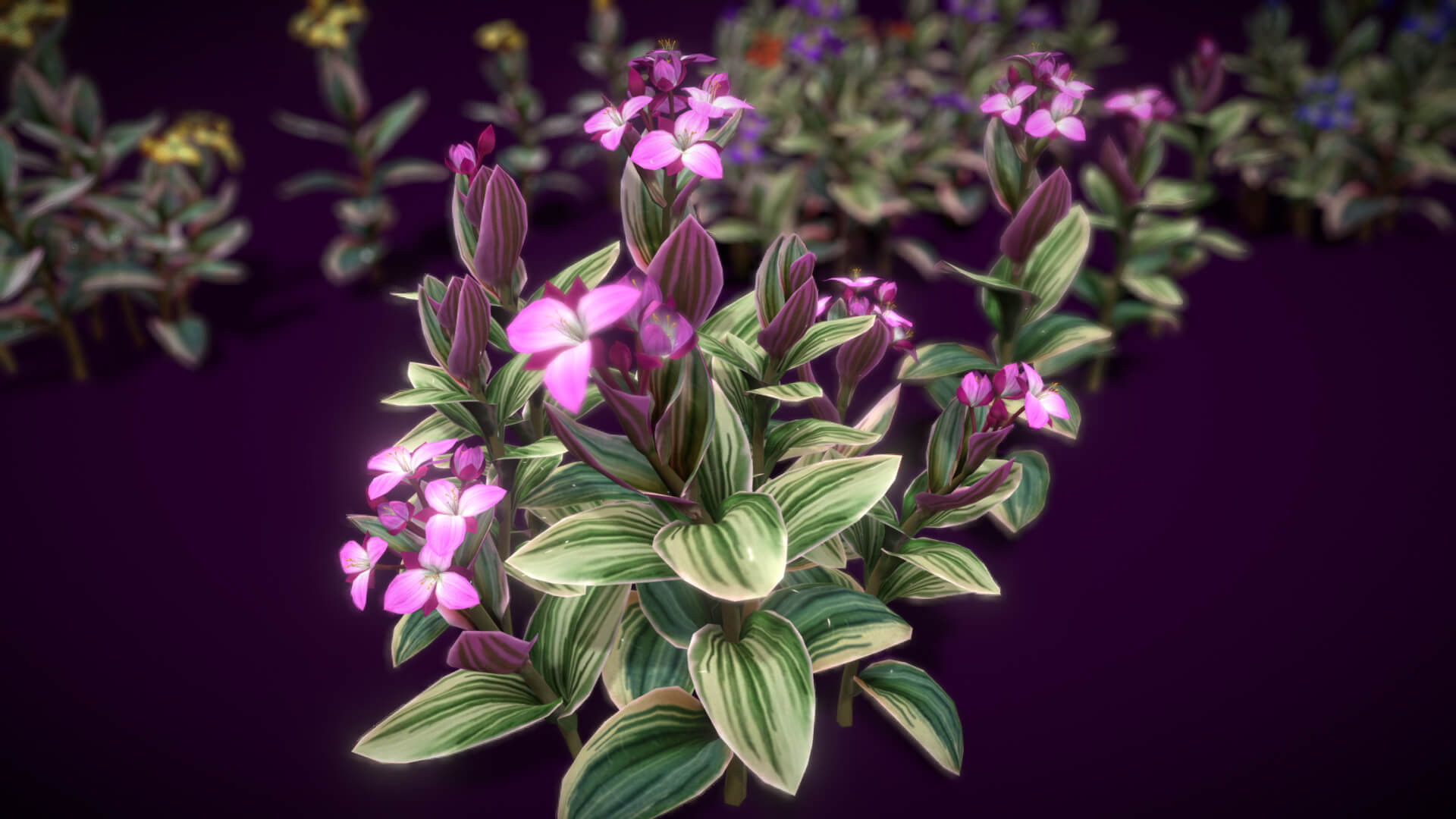 Flower Tradescantia Nanouk - 3D Model by cuongvc