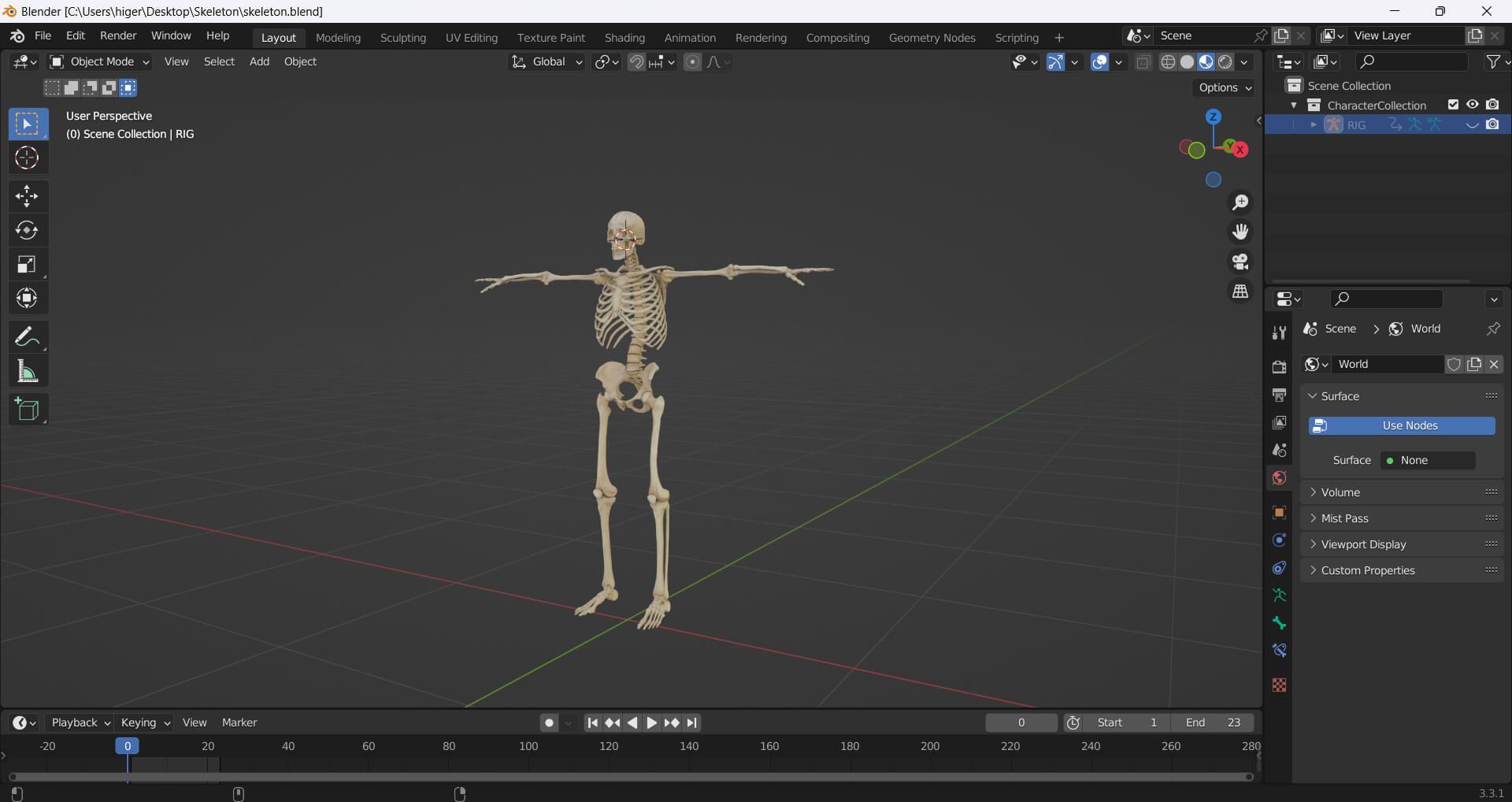 Skeleton - 3D Model by Cyberon1ck