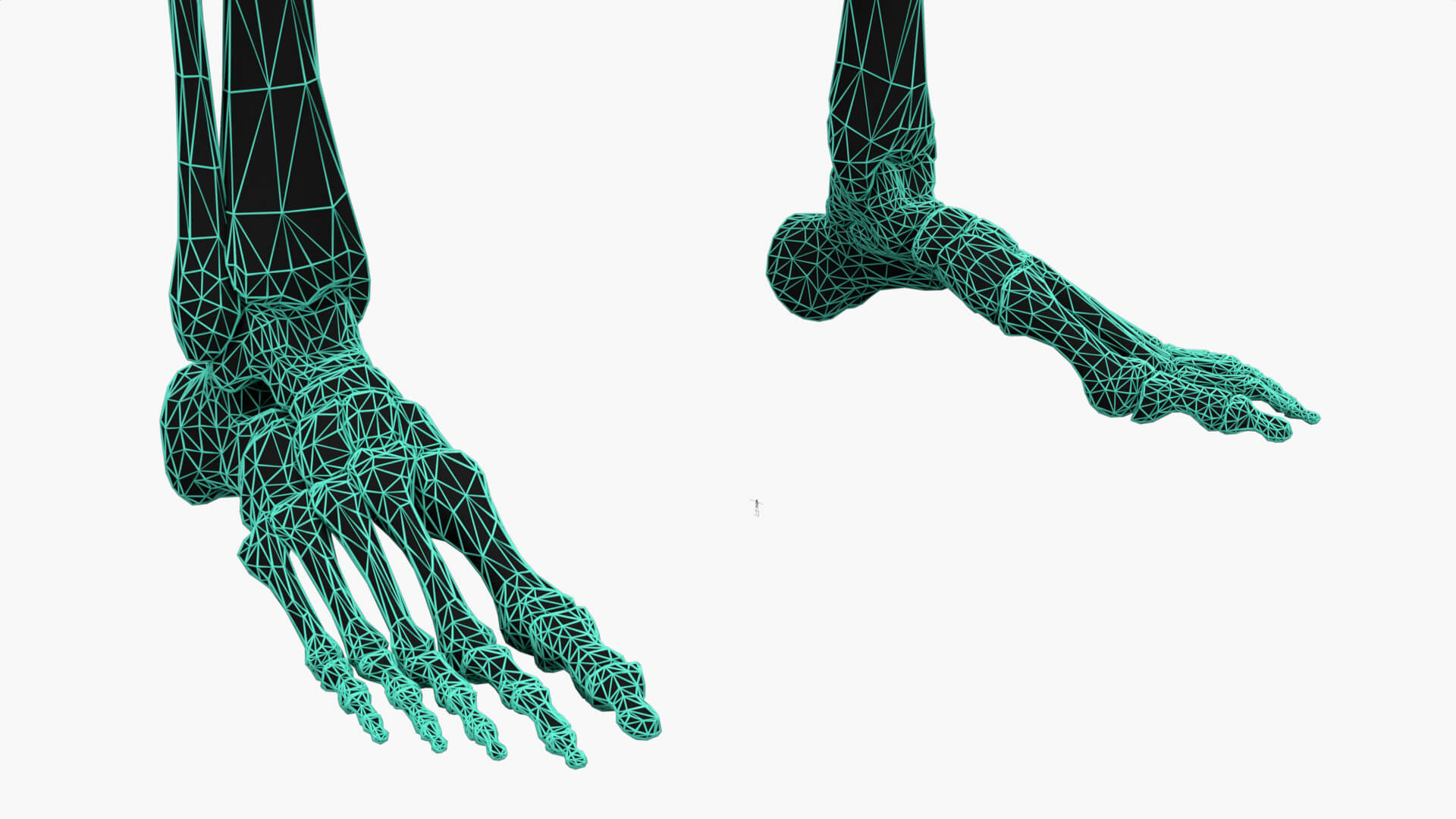 Skeleton - 3D Model by Cyberon1ck