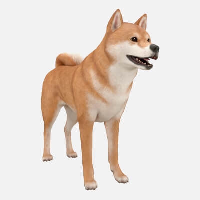 Dog Shiba Inu RIGGED - 3D Model by Cyberon1ck